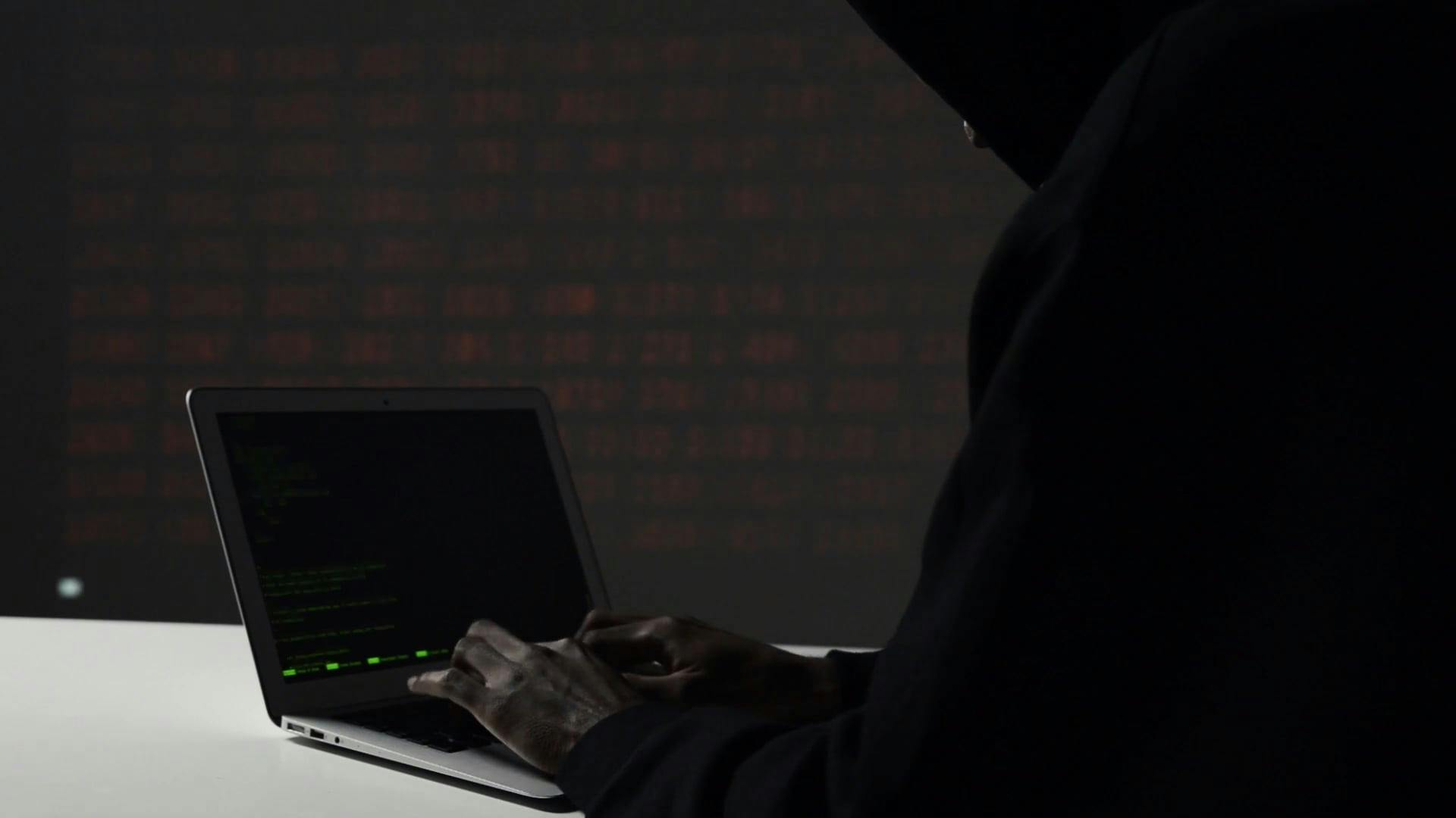 A Man Programming His Laptop Free Stock Video Footage, Royalty-Free 4K ...