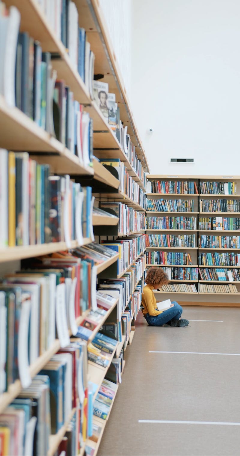 3,000+个最精彩的“Study”视频 · 100%免费下载 · Pexels素材视频