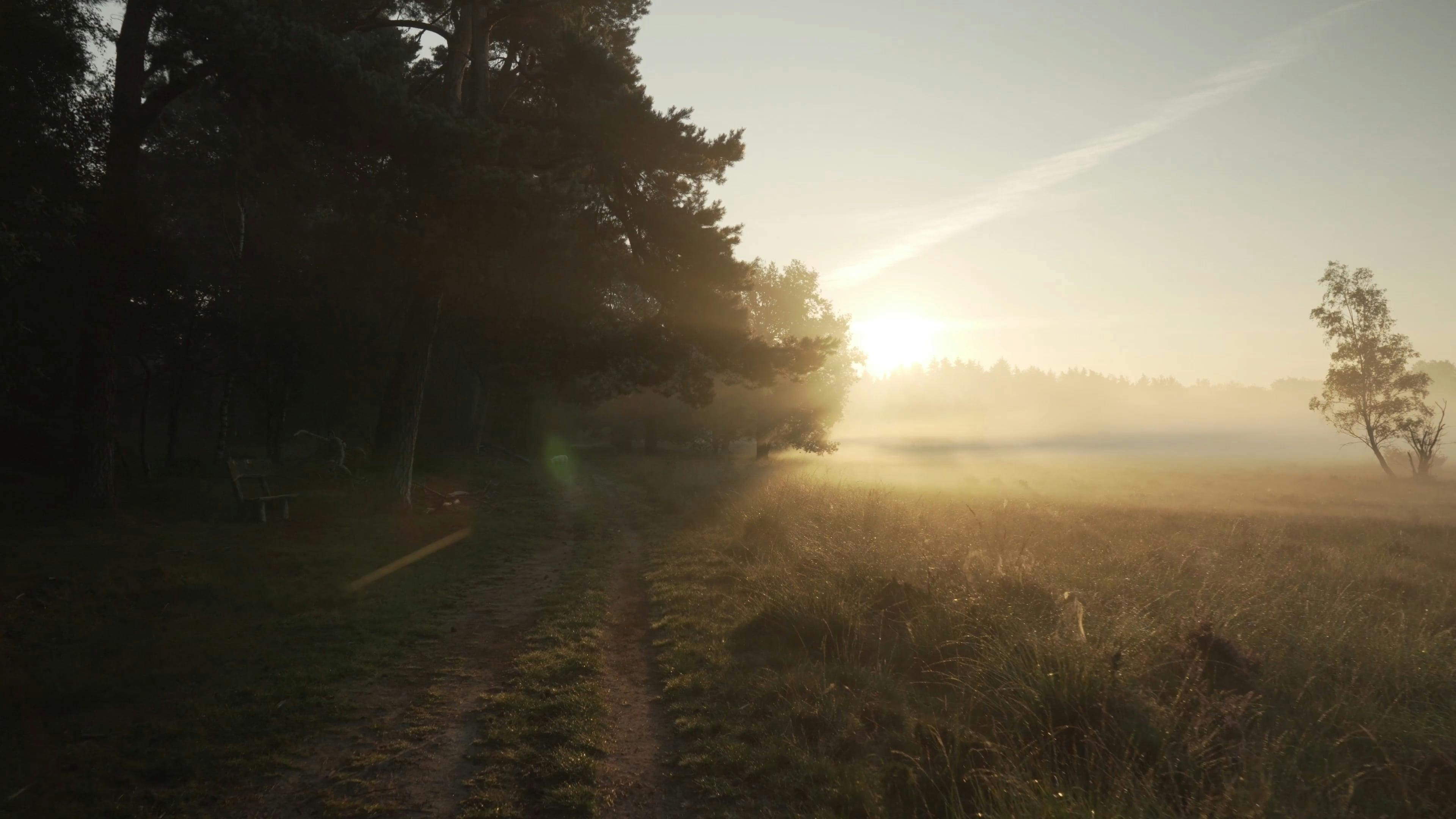 Los mejores 5000+ vídeos de Past-pointing · Banco de Imágenes Gratis ...