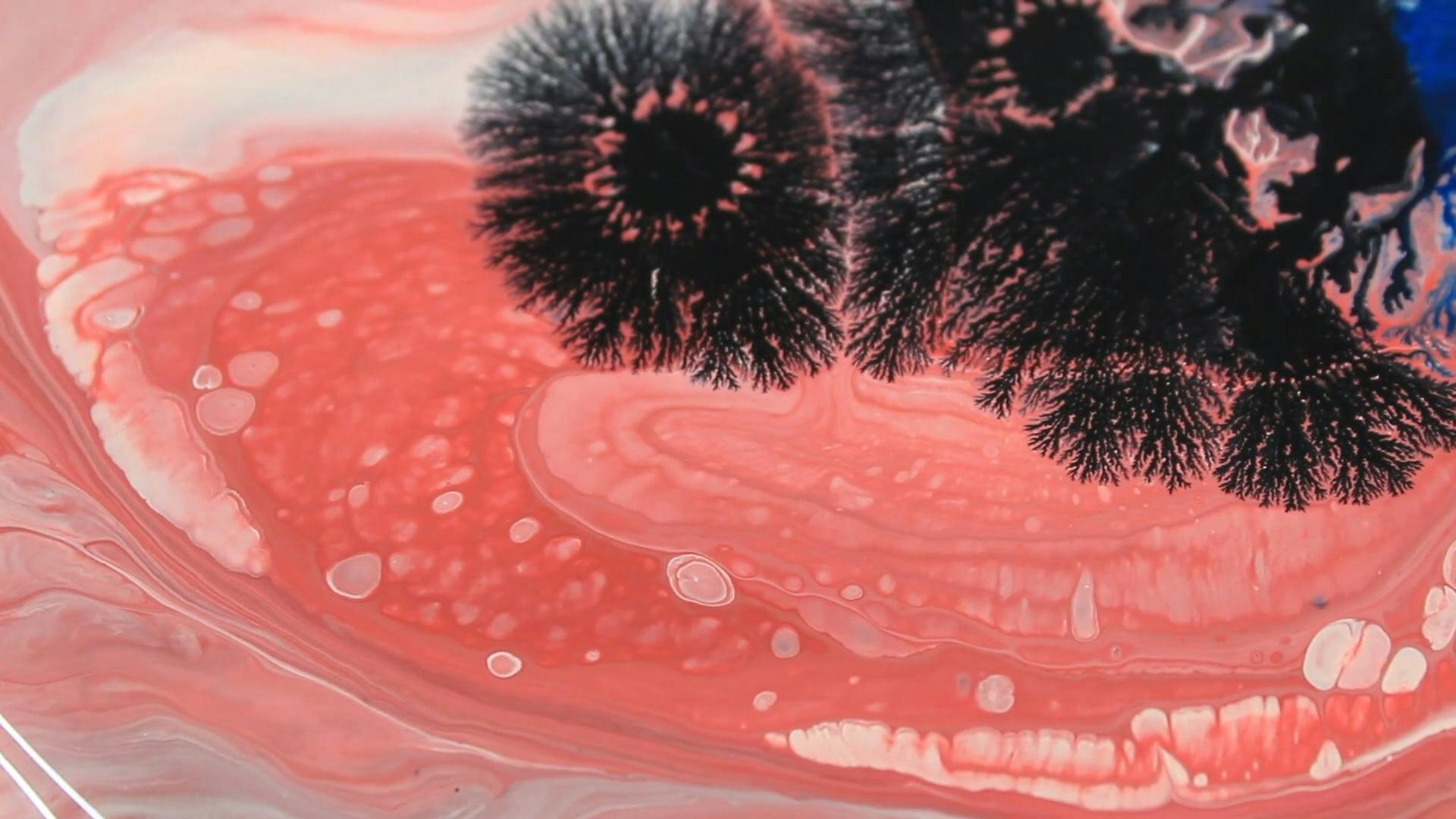 Liquid Aesthetics Videos, Download The BEST Free 4k Stock Video Footage ...