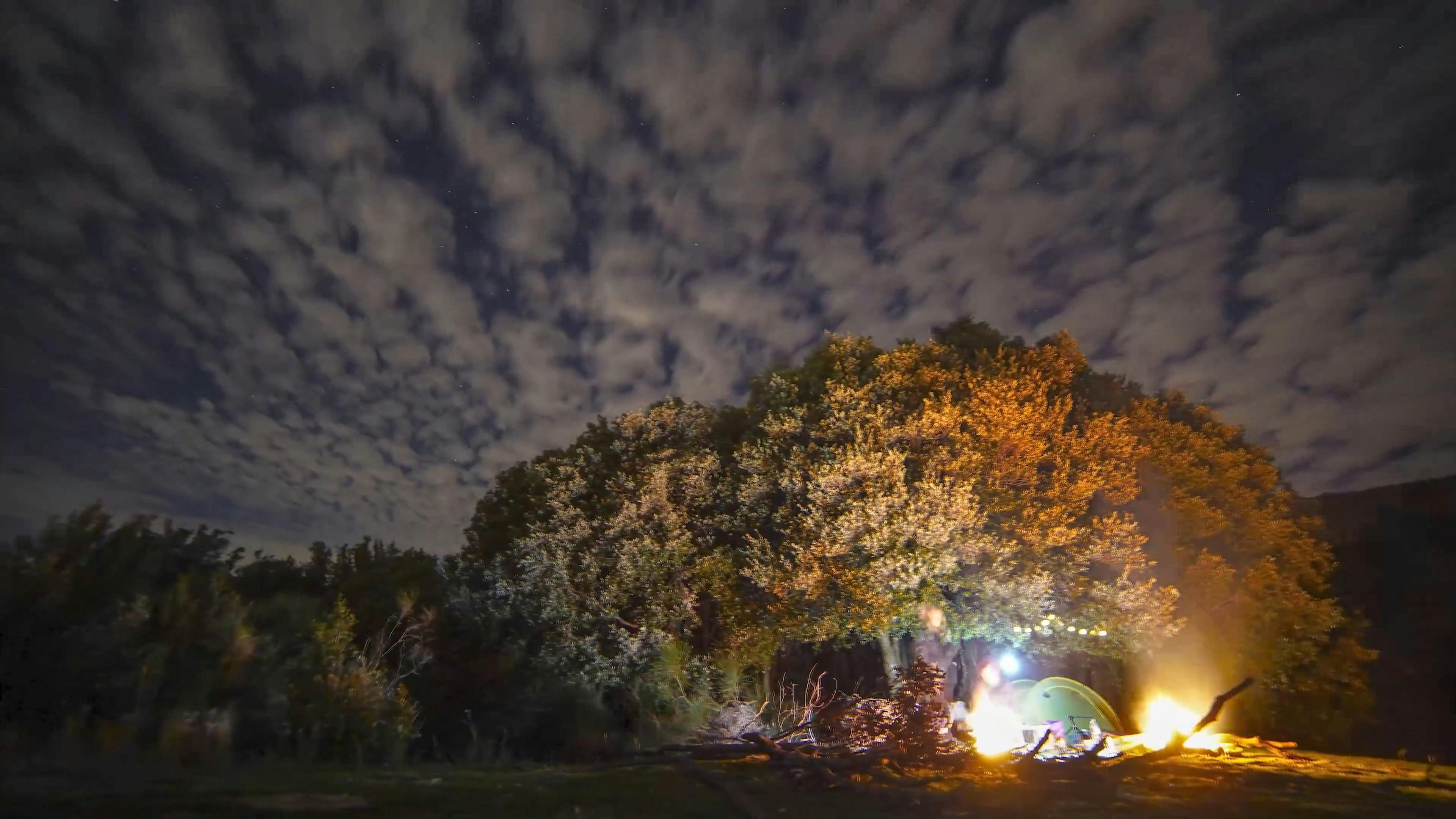 Reflection Of Tree At Night Free Stock Video Footage, Royalty-Free 4K ...