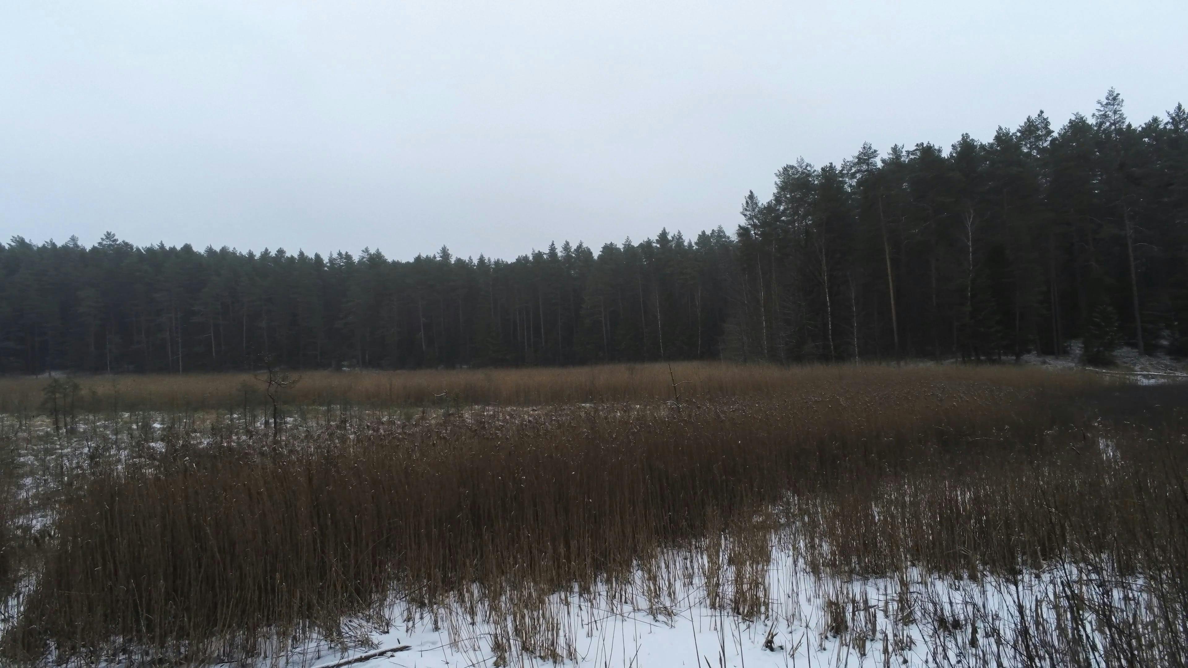 Camera Captured Videos, Download The BEST Free 4k Stock Video Footage ...