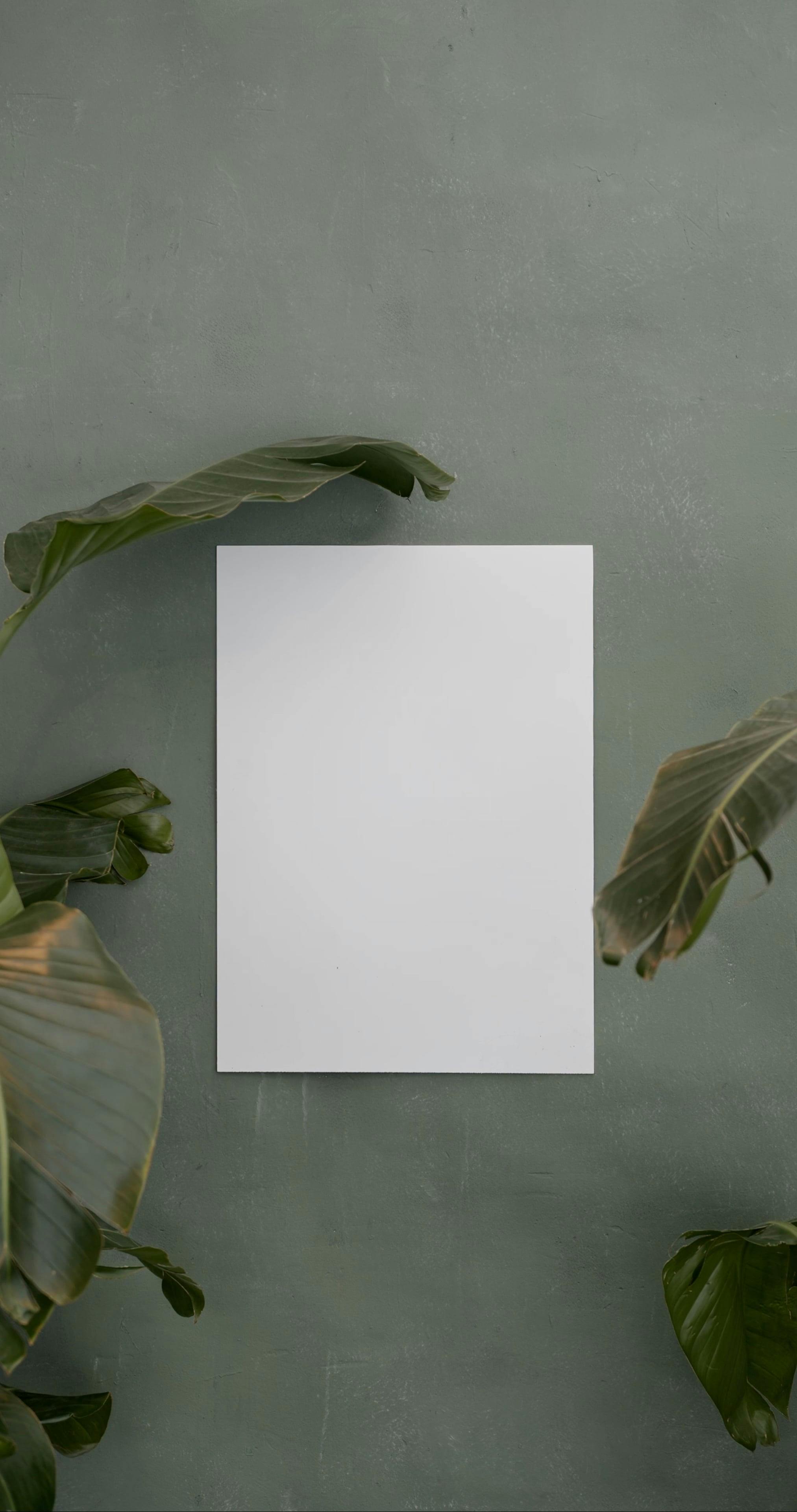 Background Nature Desktop Videos, Download The BEST Free 4k Stock Video ...