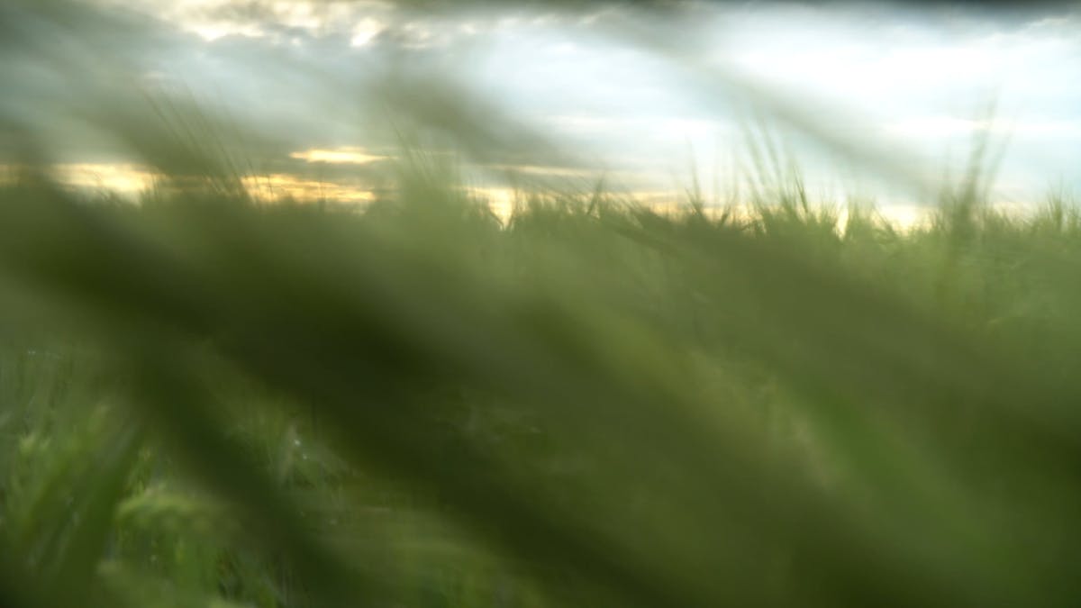 Nature View Videos, Download The BEST Free 4k Stock Video Footage ...