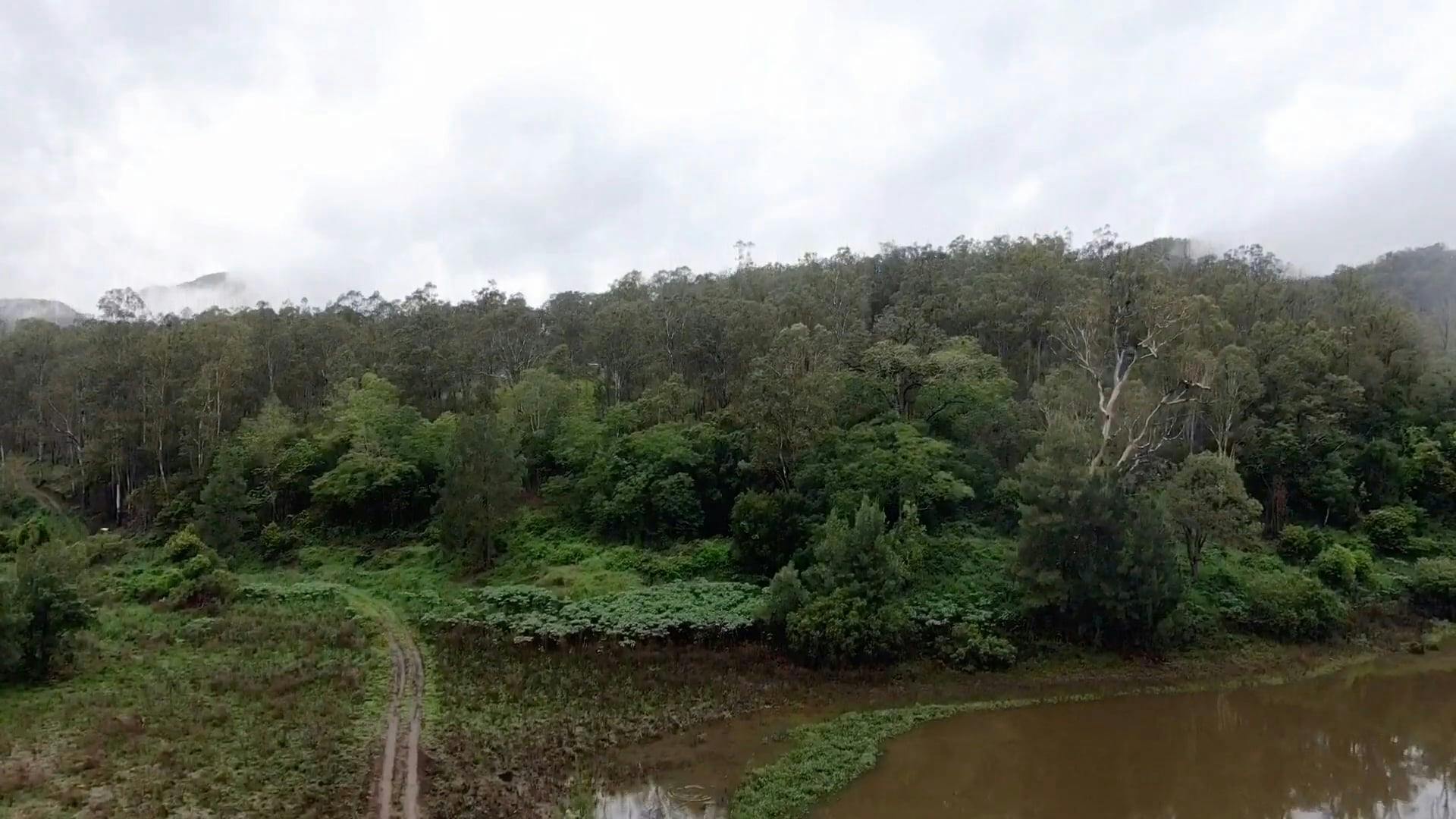 Aerial Footage of Foggy Area Free Stock Video Footage, Royalty-Free 4K ...