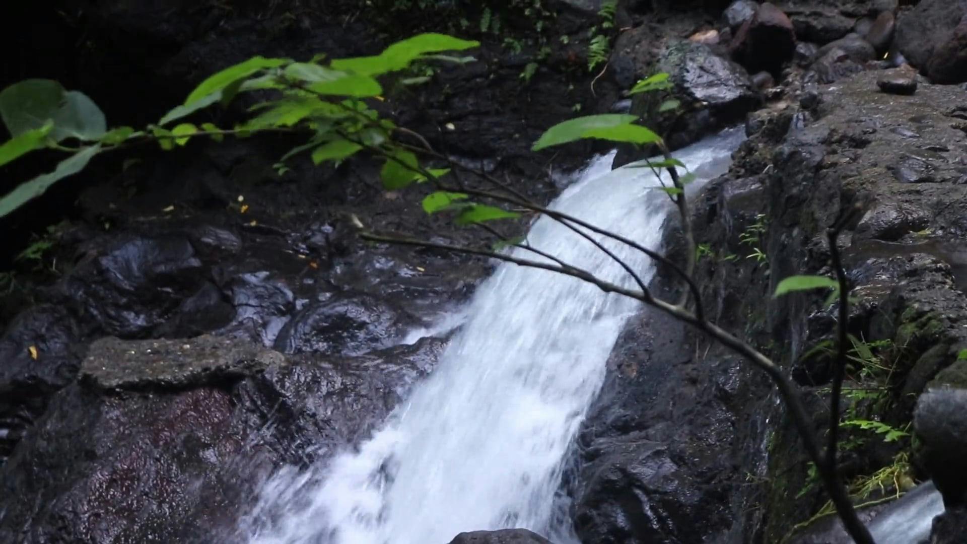 A Narrow River Streaming In A Bed Of Rocks Free Stock Video Footage ...