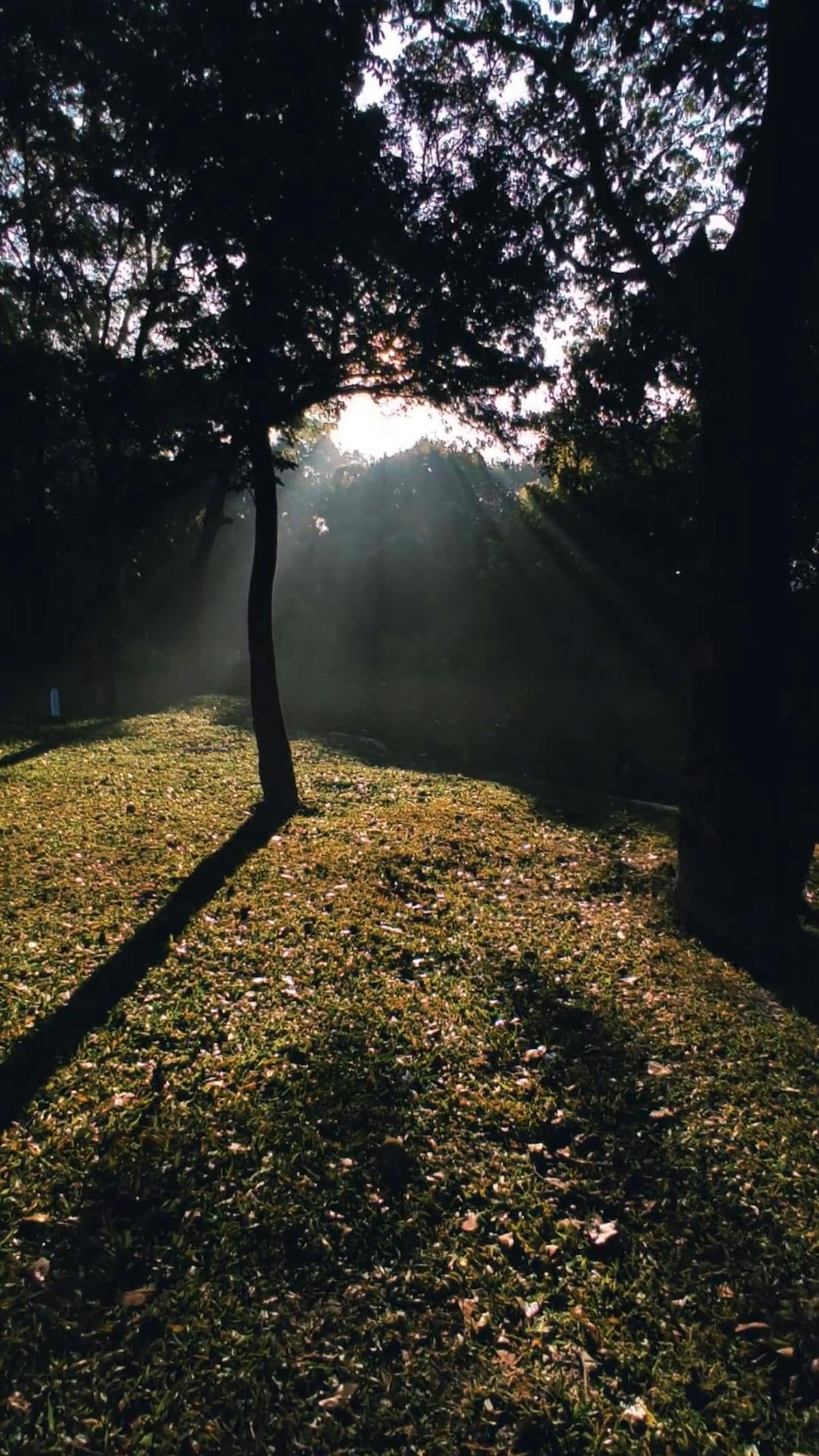 Beautiful Nature Videos, Download The BEST Free 4k Stock Video Footage ...