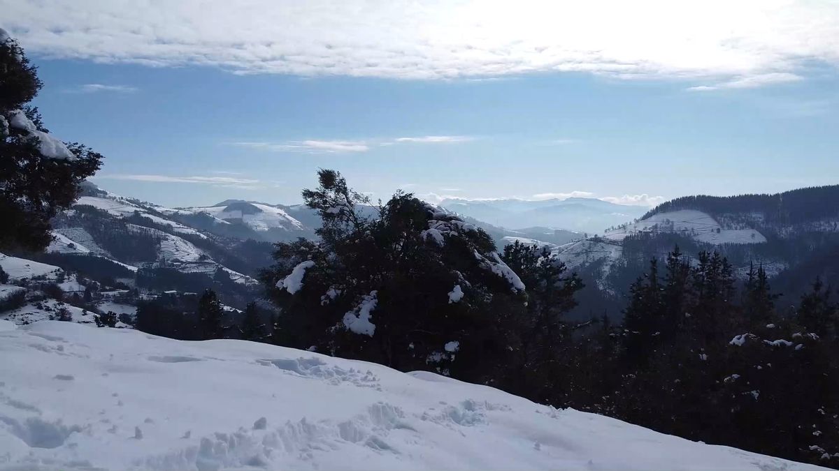 Animated Forest Snow 4k Videos, Download The BEST Free 4k Stock Video ...