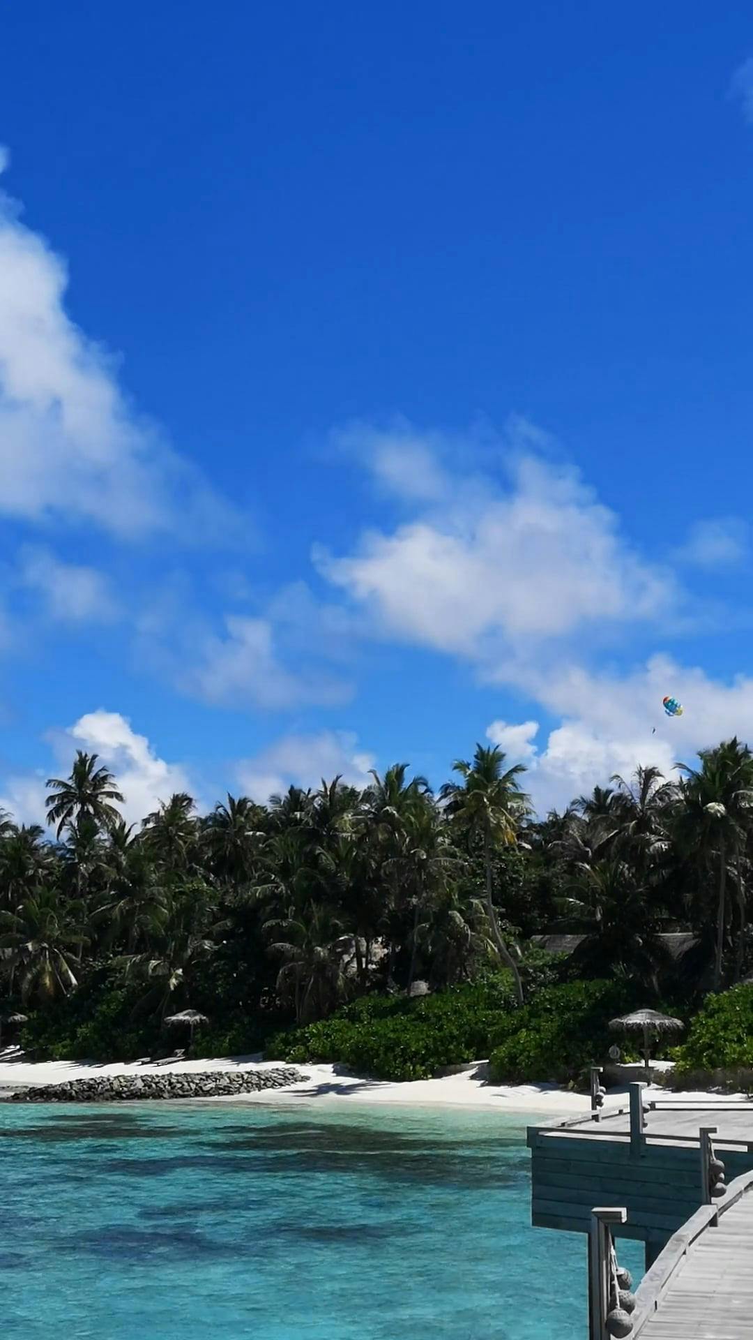 Beach With Clear Blue Water · Free Stock Video