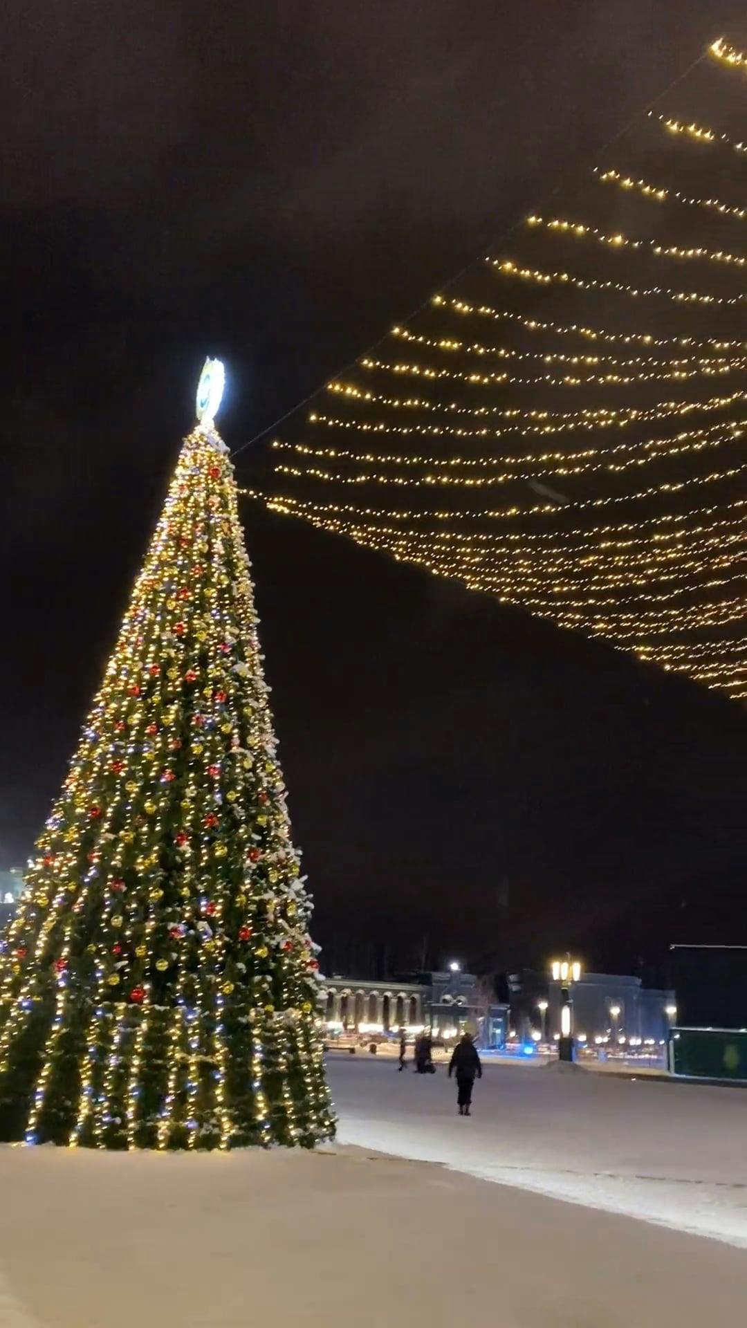 Public Domain Christmas Videos, Download The BEST Free 4k Stock Video ...