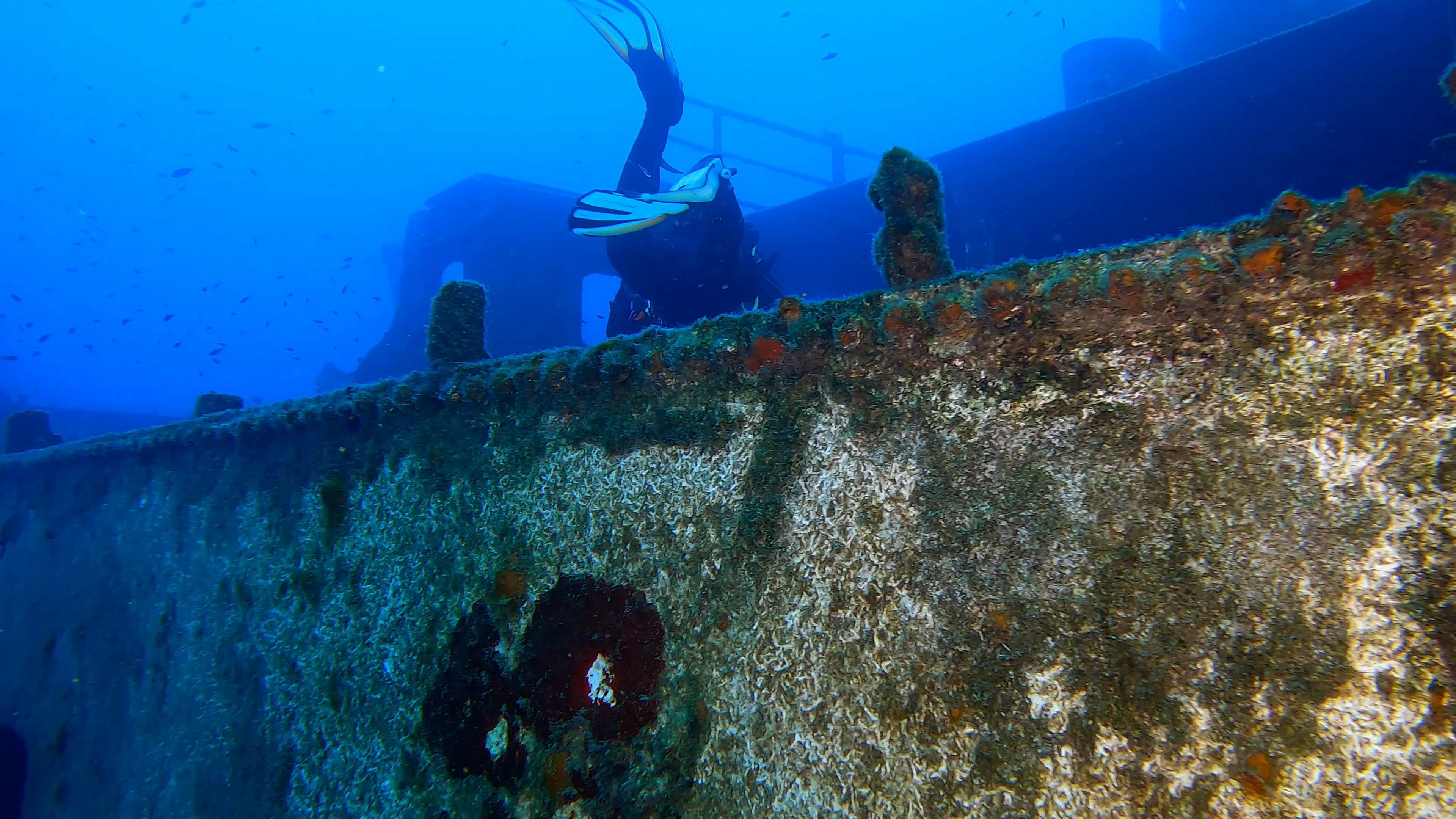 Scuba Diving On A Sunken Boat · Free Stock Video