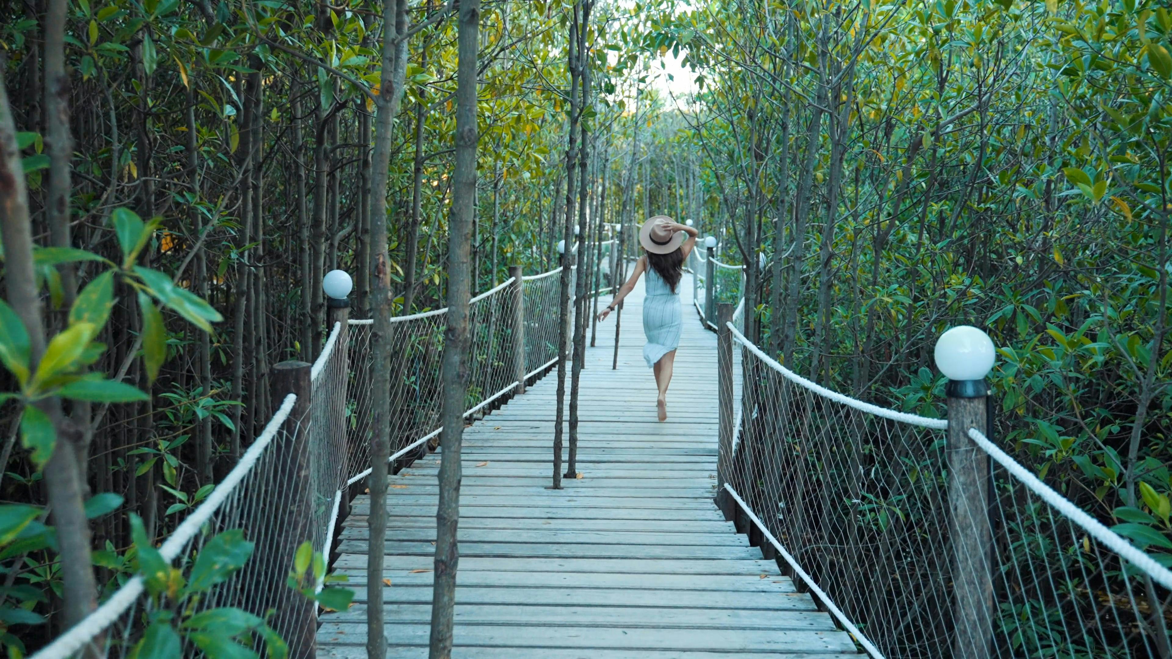 Jungle Running Videos, Download The BEST Free 4k Stock Video Footage ...