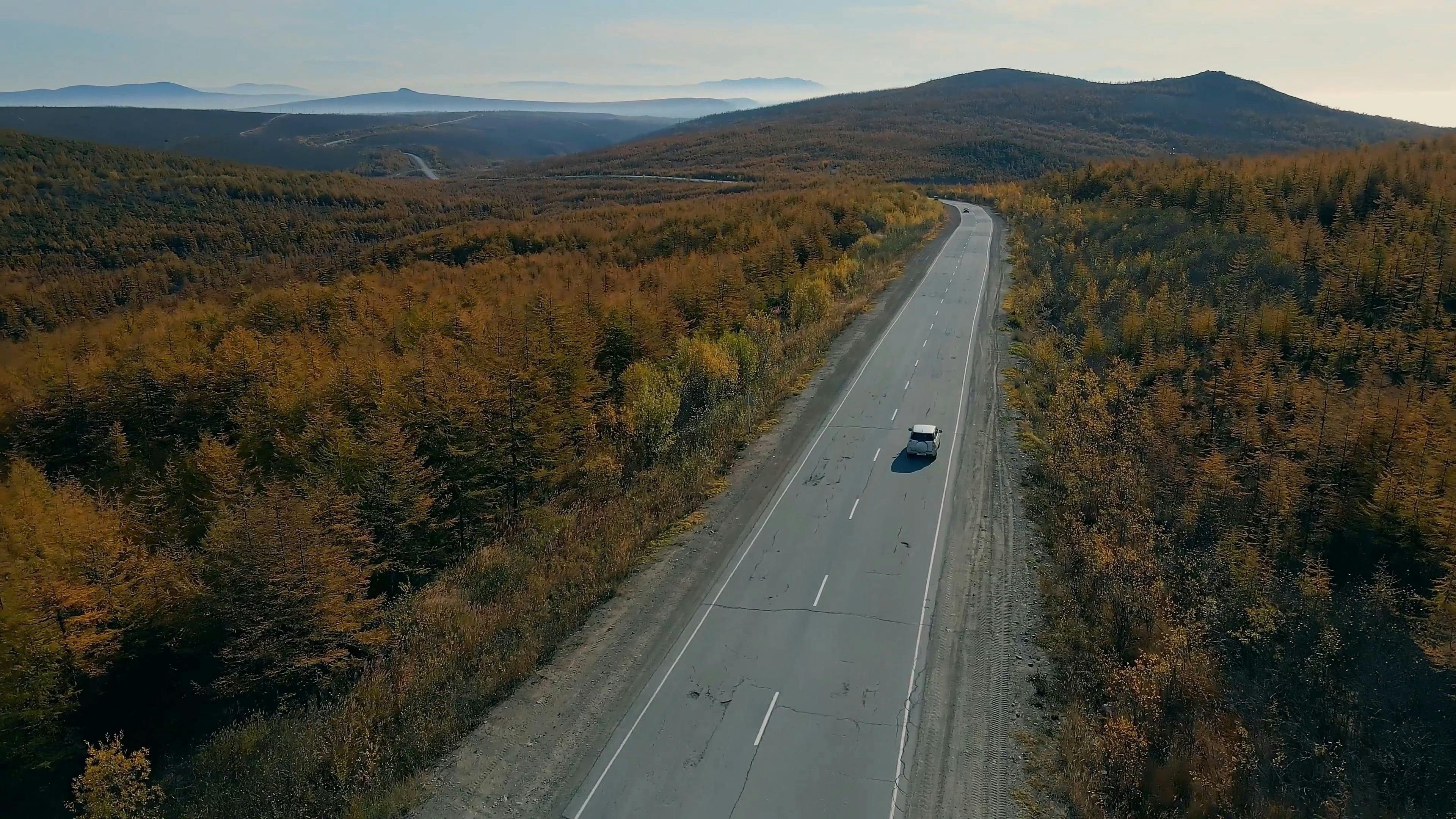 Aerial View of Cars in a Forest Road · Free Stock Video