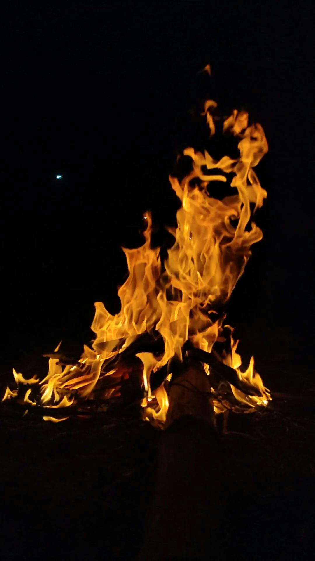 Large Campfire · Free Stock Video