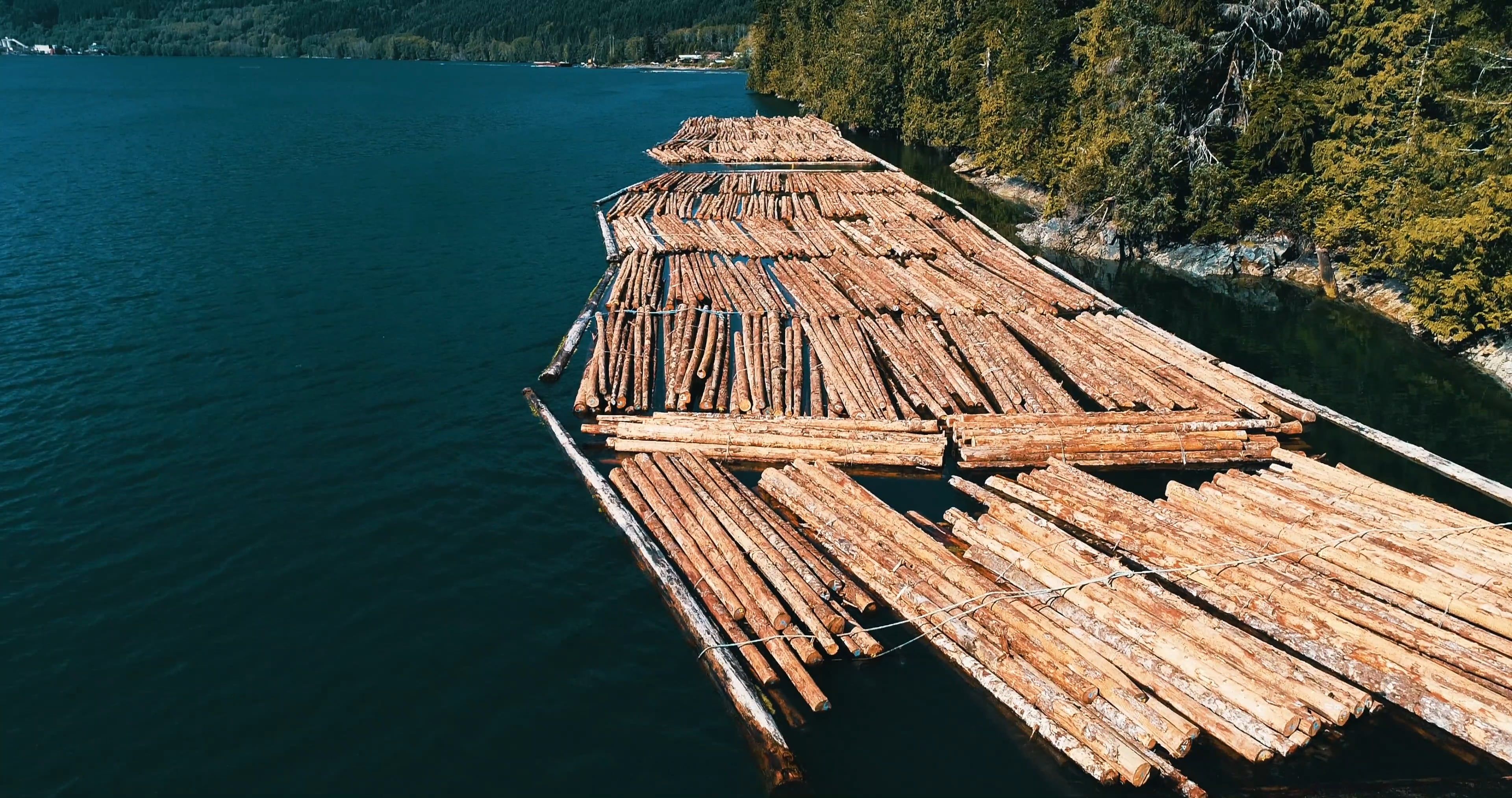Log Footage Videos, Download The BEST Free 4k Stock Video Footage & Log ...