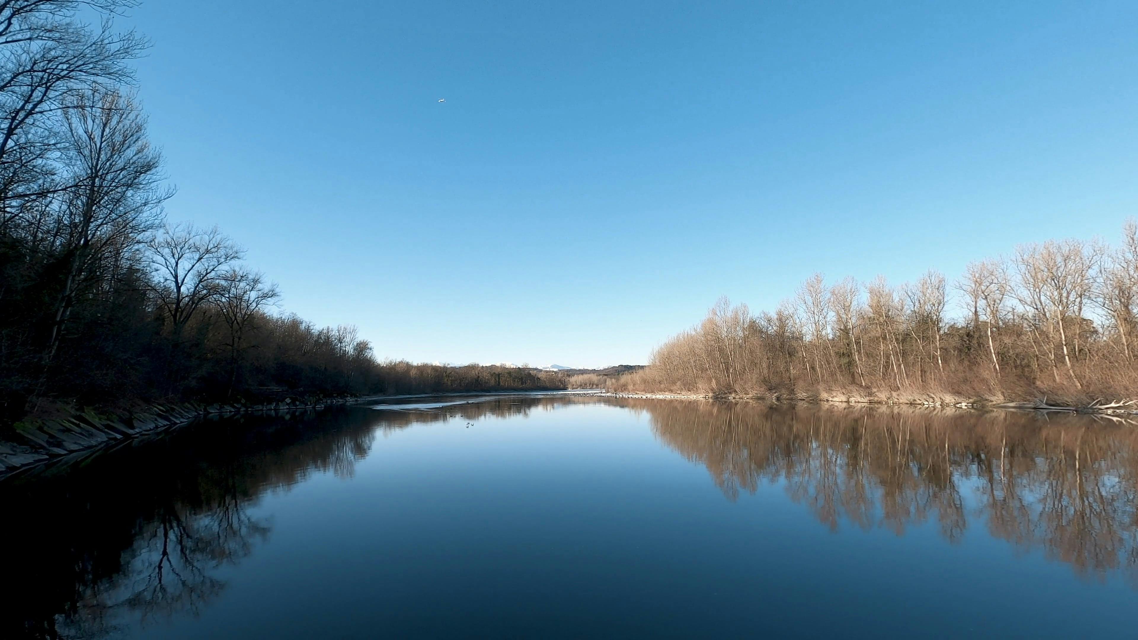 Wide Forest River · Free Stock Video