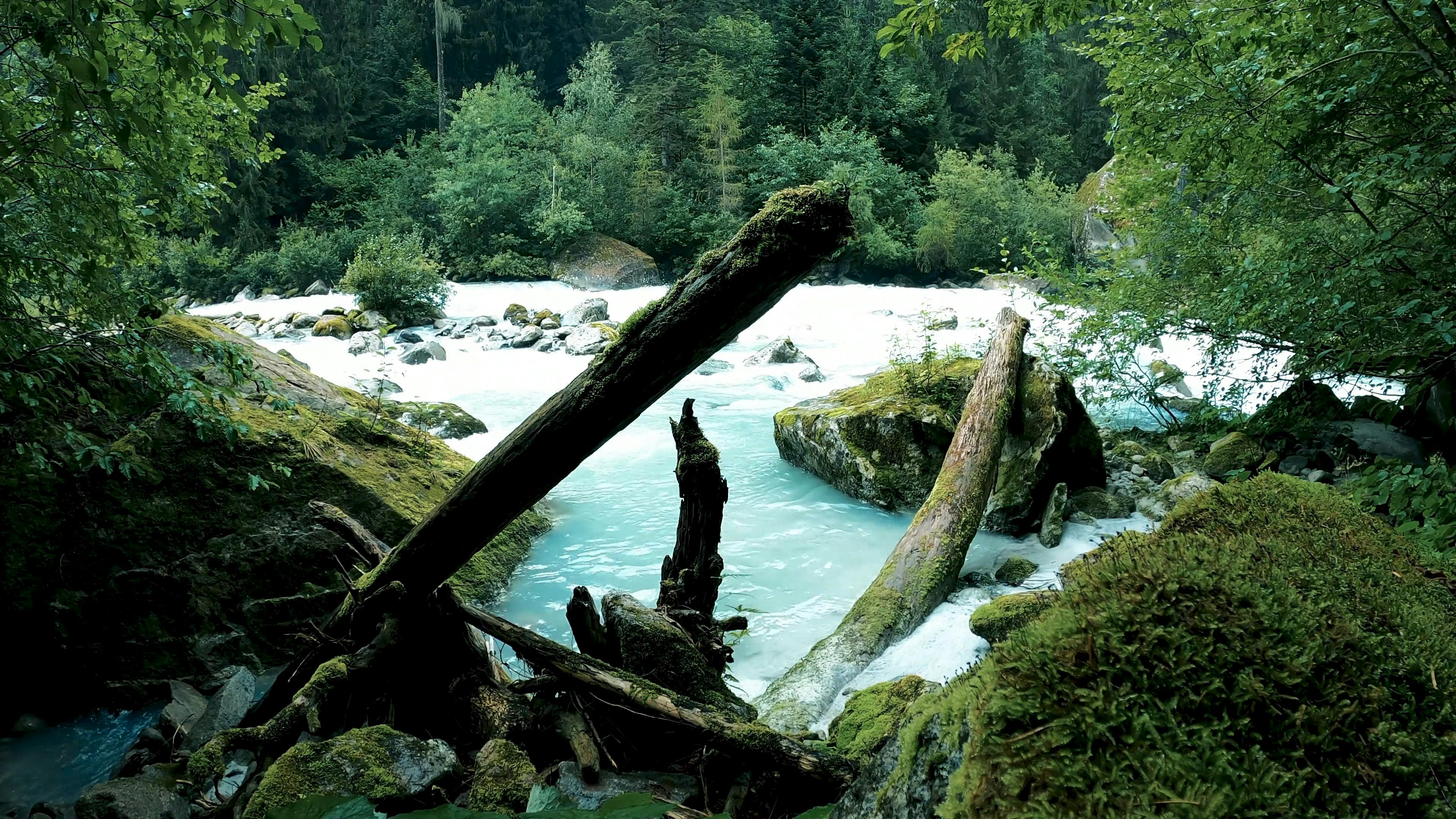 Cascading Branches Videos, Download The BEST Free 4k Stock Video ...