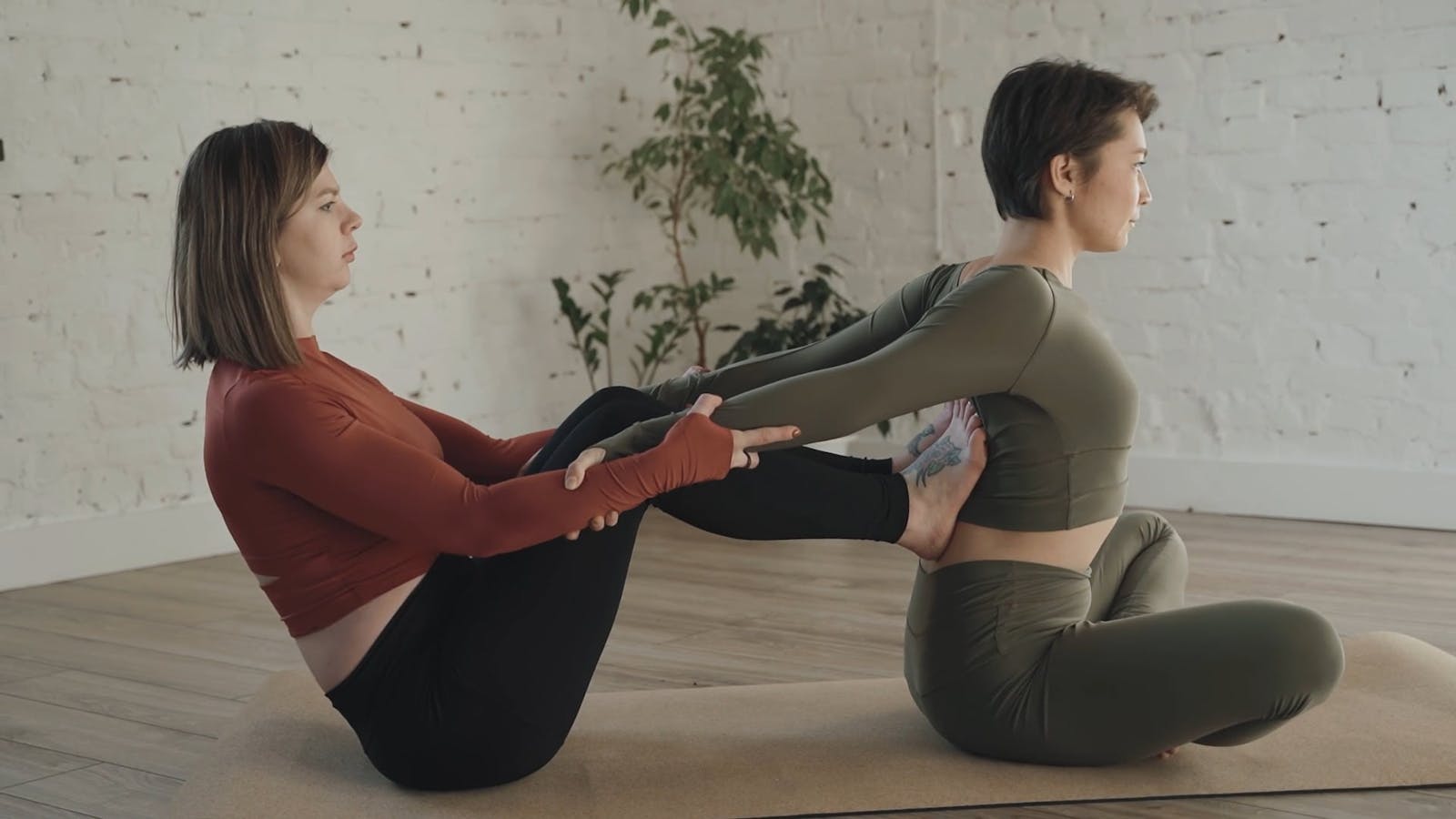 Backbone Videos, Download The BEST Free 4k Stock Video Footage ...