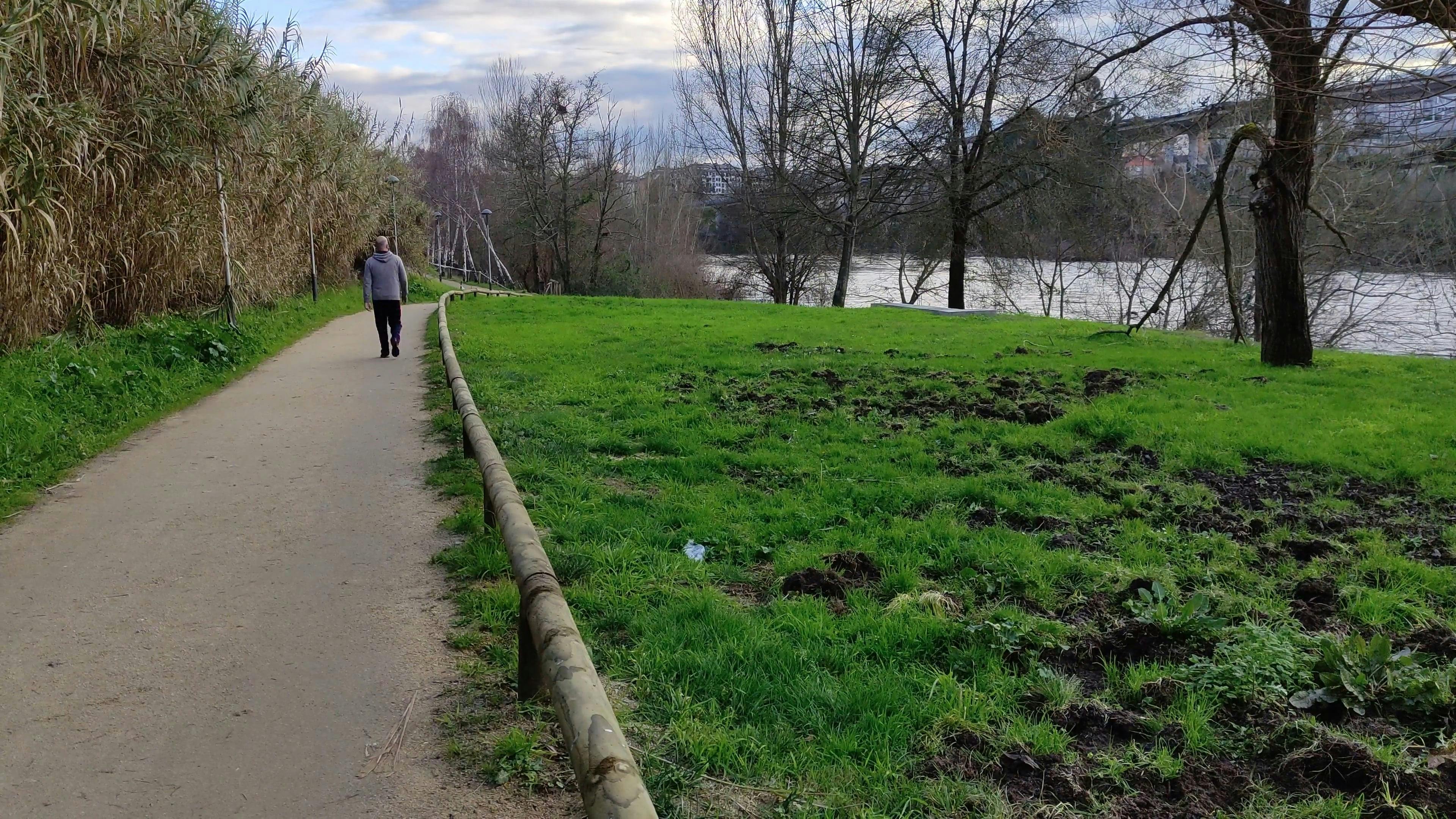 MANUEL - Photography