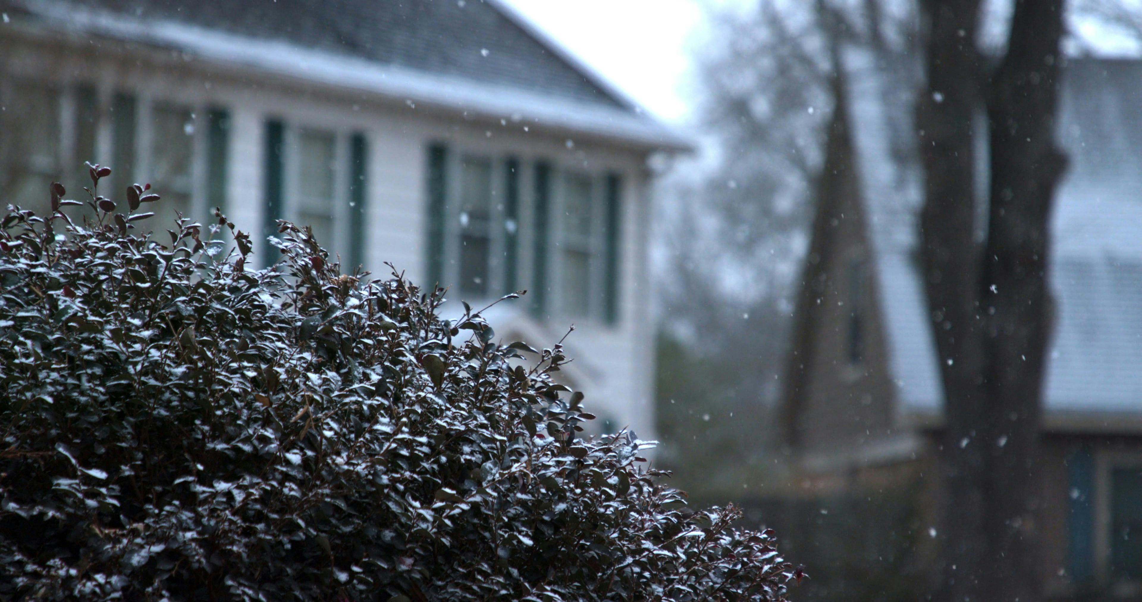 Snow Falling Outside of House · Free Stock Video