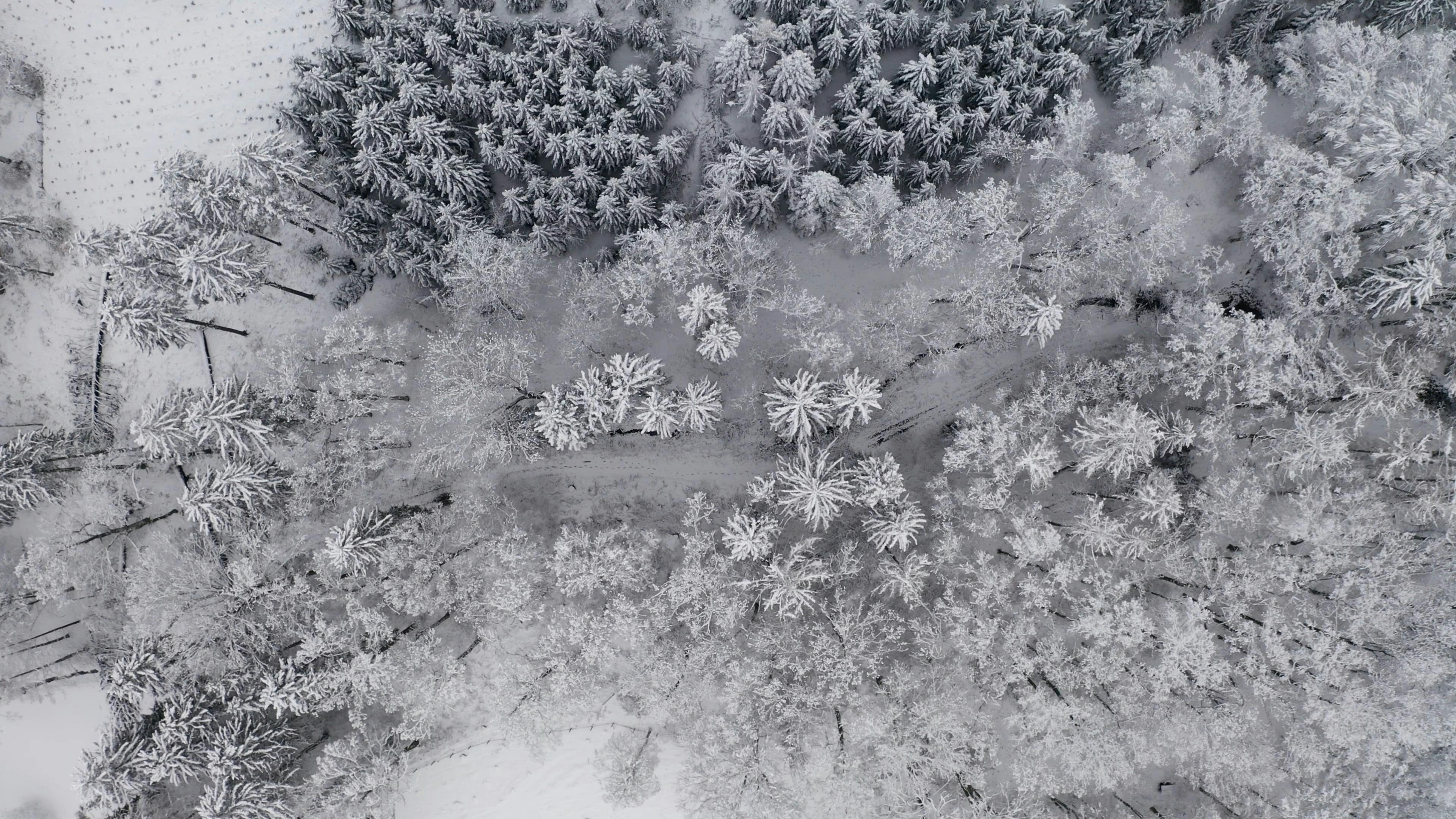 Aerial Footage of Flowing River Free Stock Video Footage, Royalty-Free ...