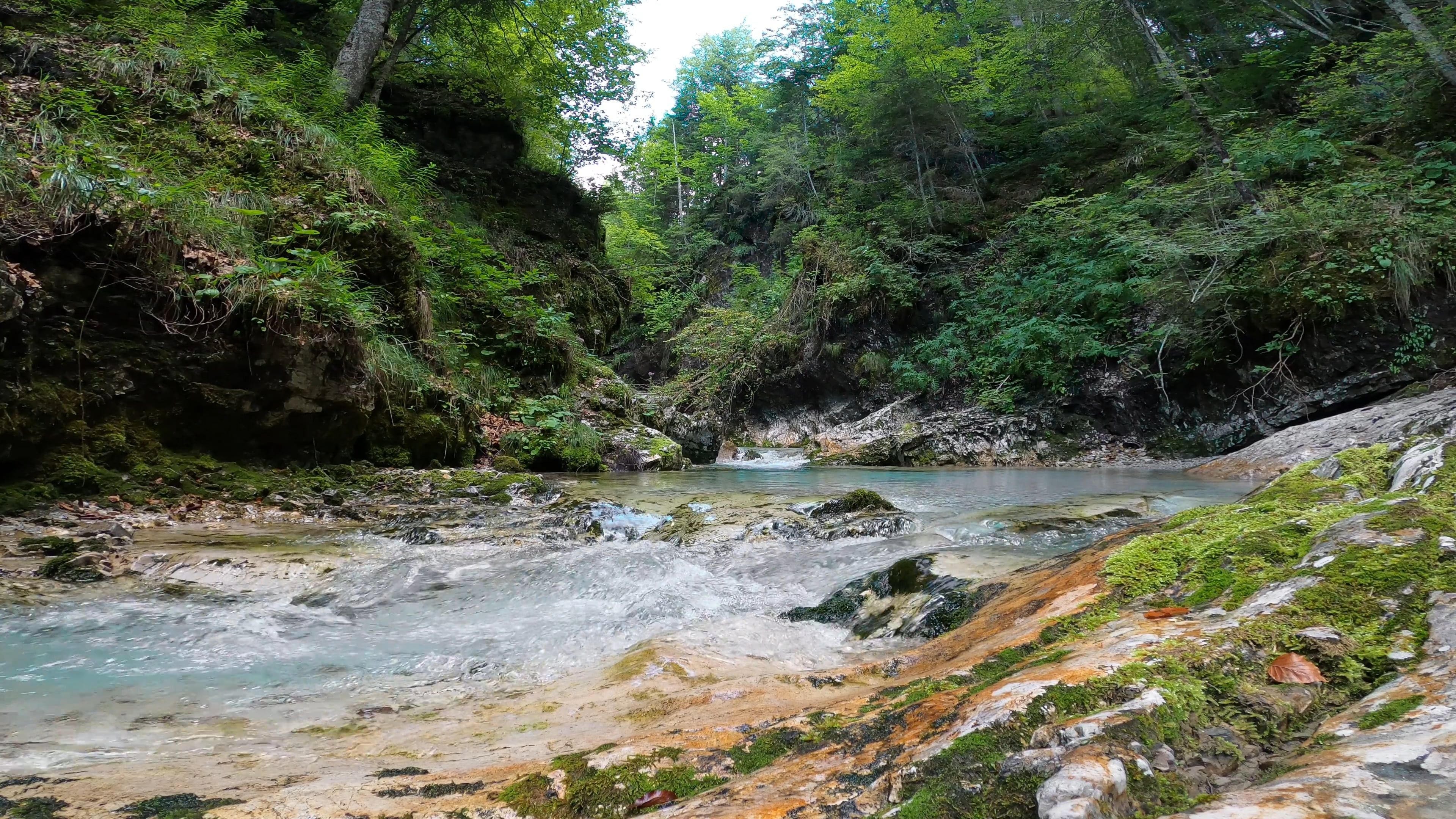 Video of a Flowing River · Free Stock Video