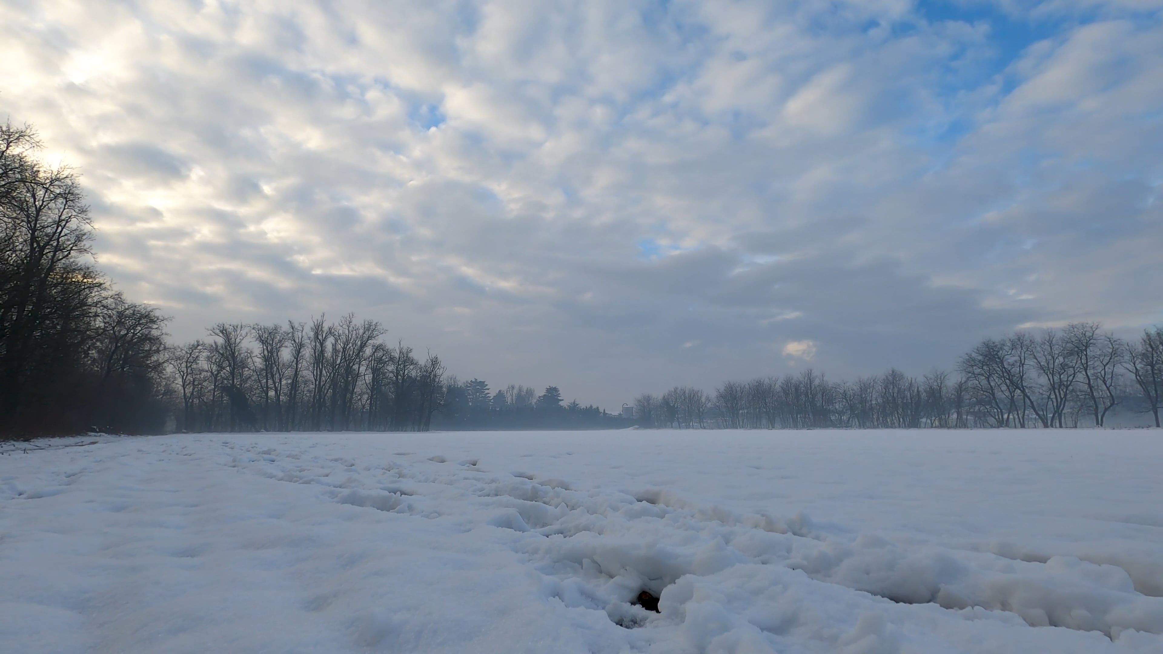 Panning Shot of Winter Landscape · Free Stock Video