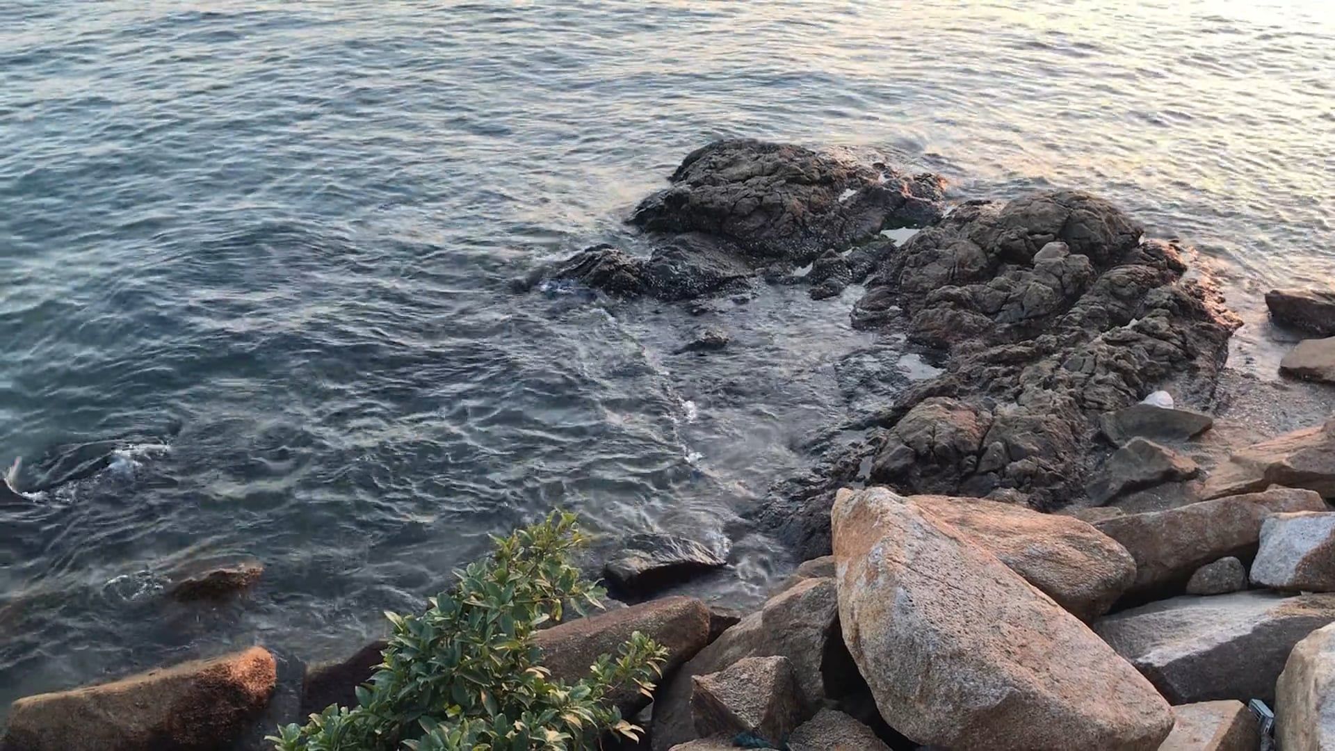 Sea Waves Crashing On The Rocky Shore Free Stock Video Footage, Royalty ...