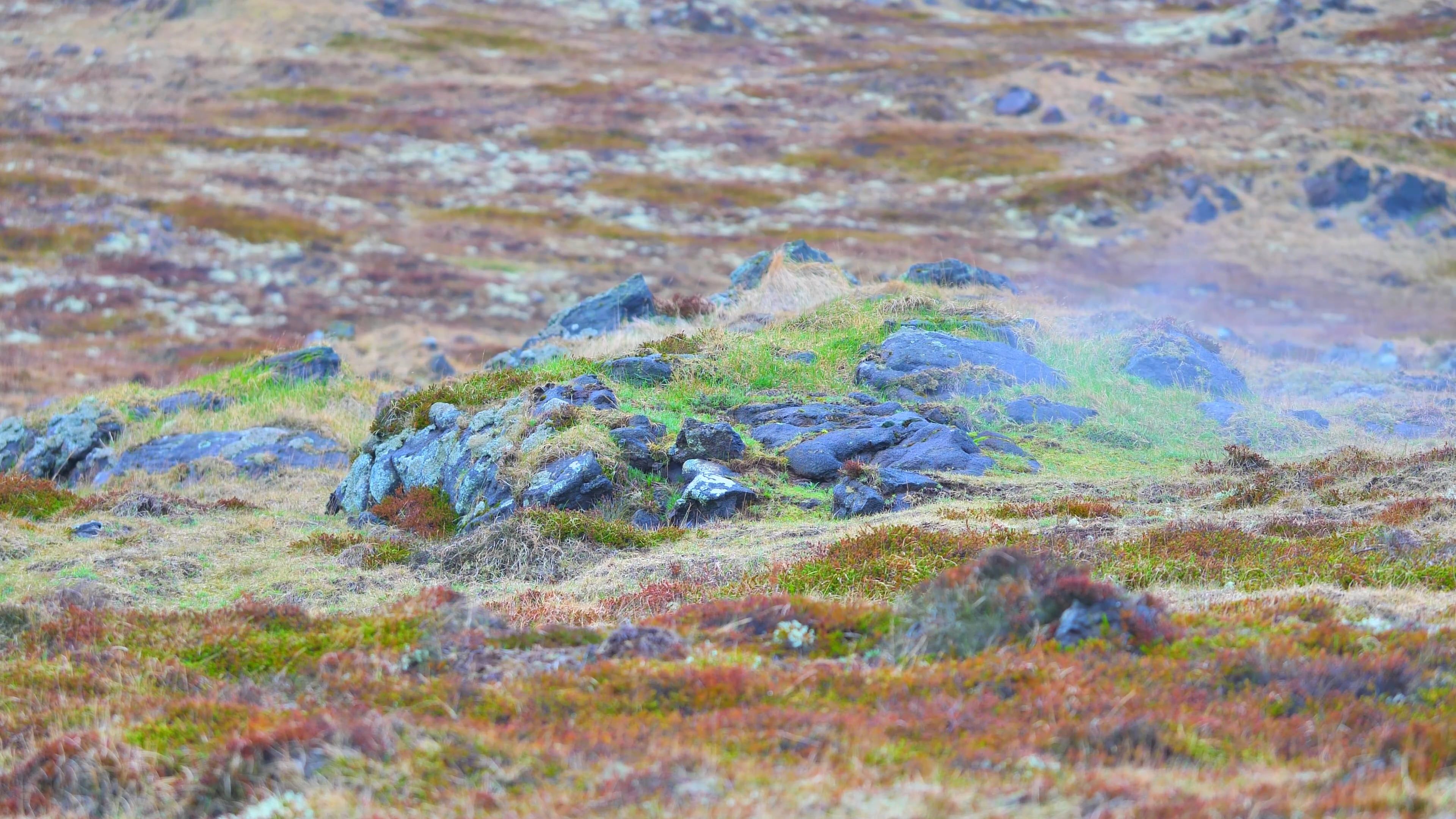 Steam Coming Out from the Ground · Free Stock Video