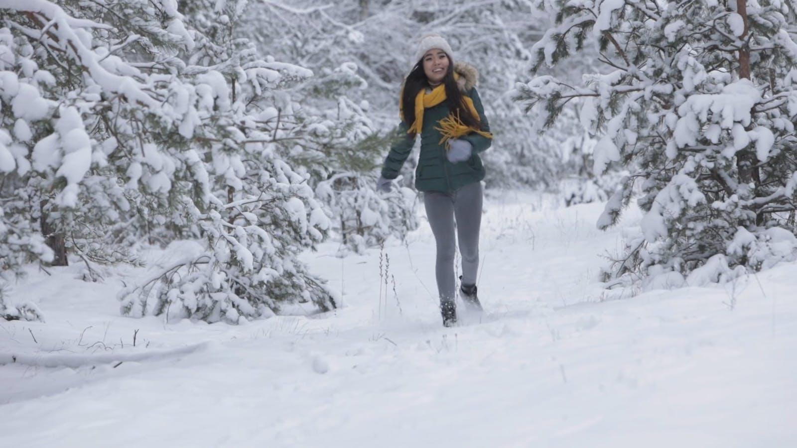 Human Pinus Videos, Download The BEST Free 4k Stock Video Footage ...