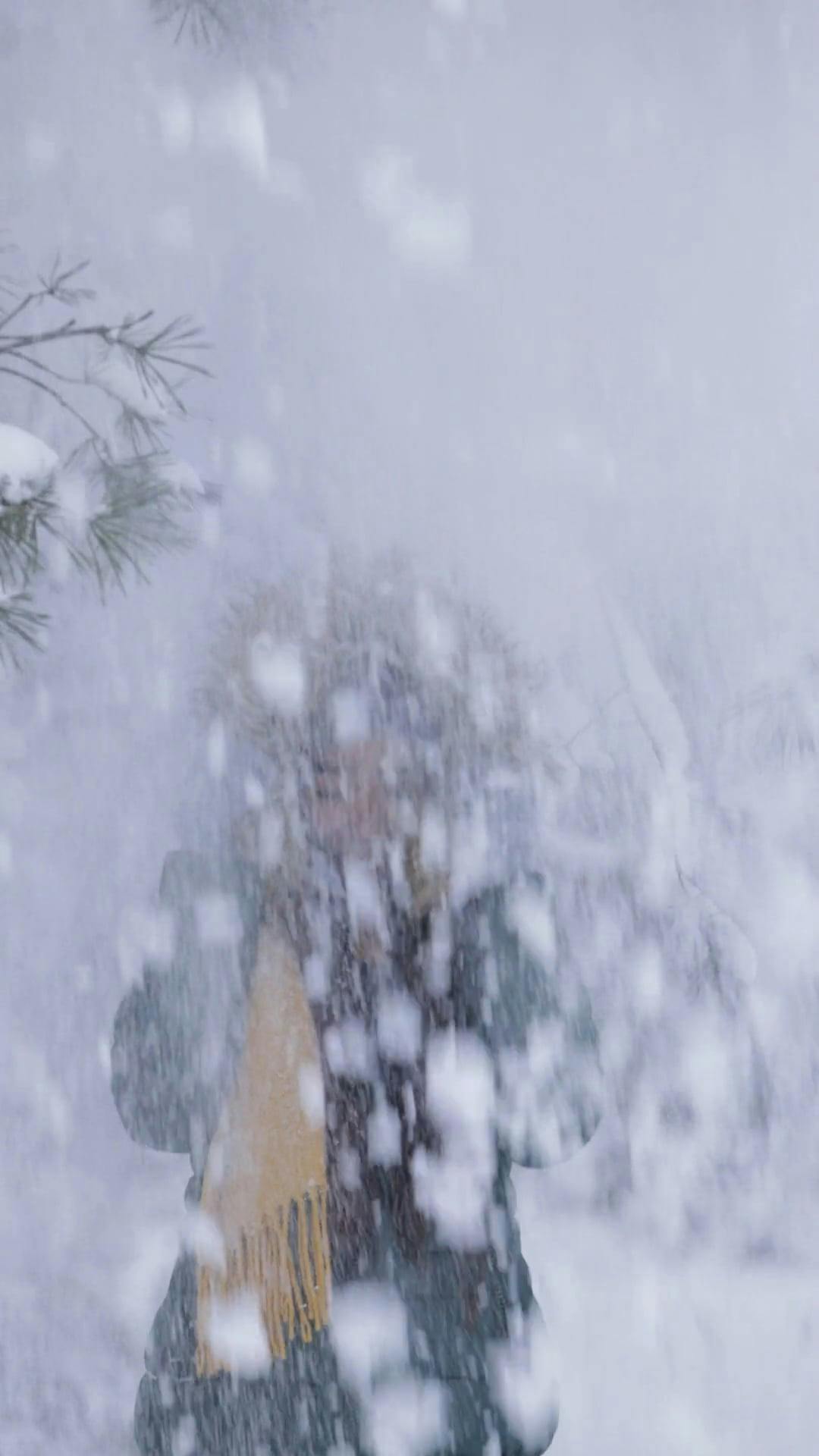 Snow From Tree branches Falling Over Woman · Free Stock Video