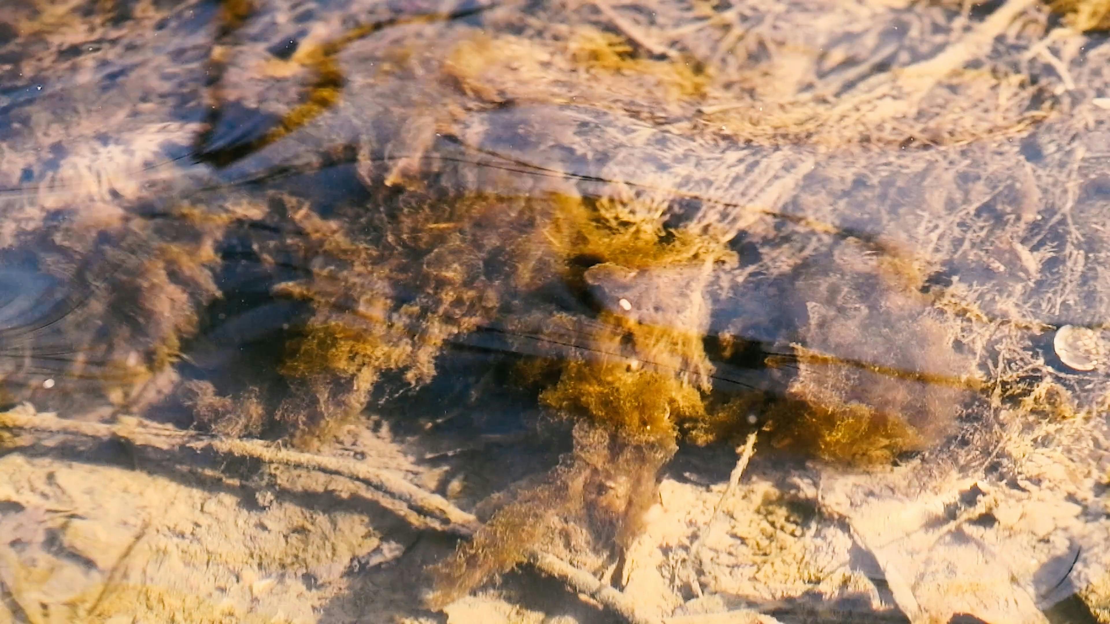 Motorolja Fhd Cykel Videos, Download The BEST Free 4k Stock Video ...