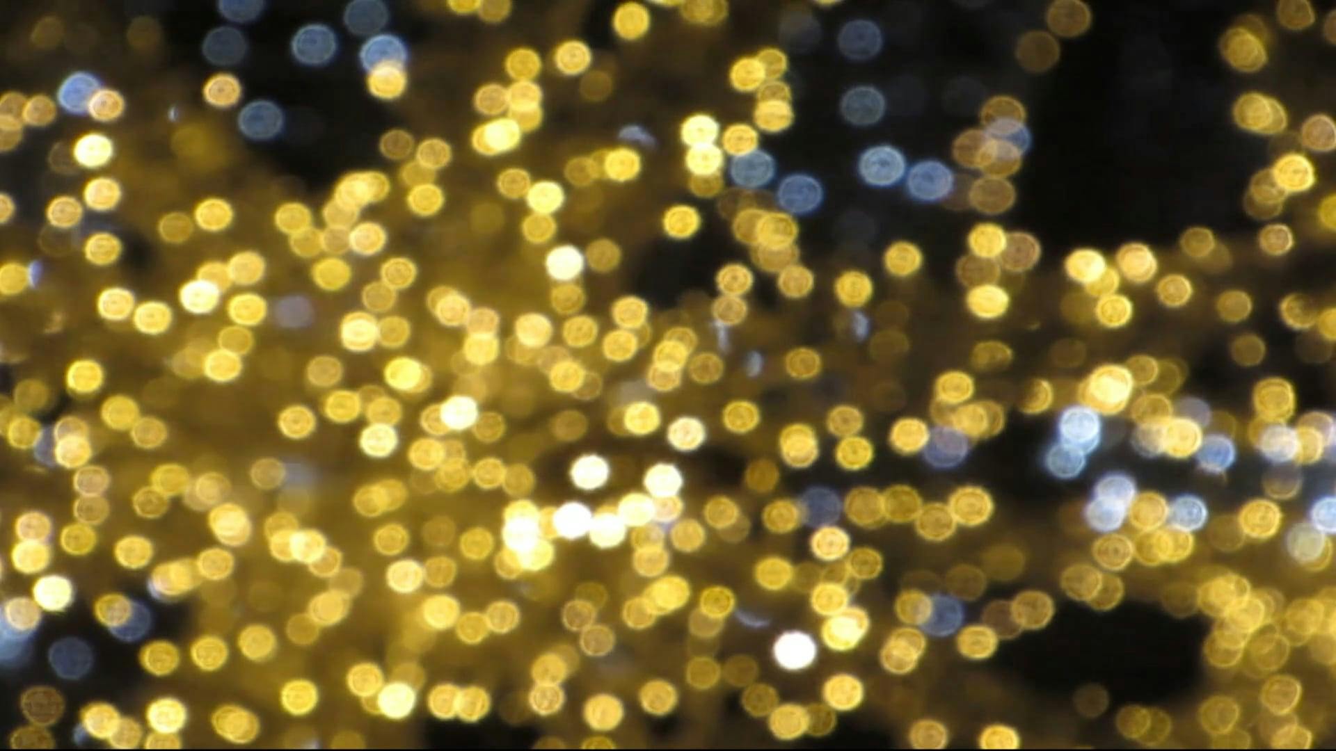 Elevators Lifts Small With Dim Lights Videos, Download The BEST Free 4k ...