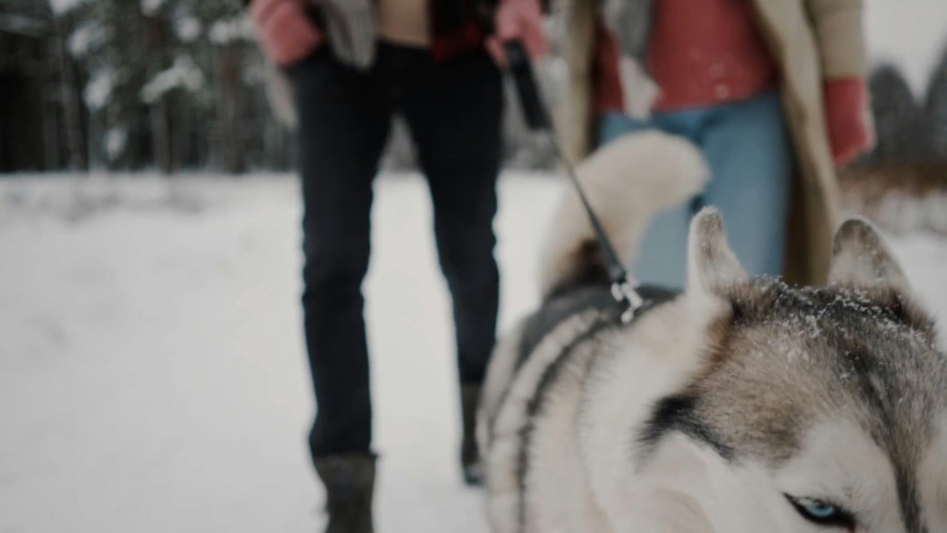 Extreme Joy Videos, Download The BEST Free 4k Stock Video Footage ...