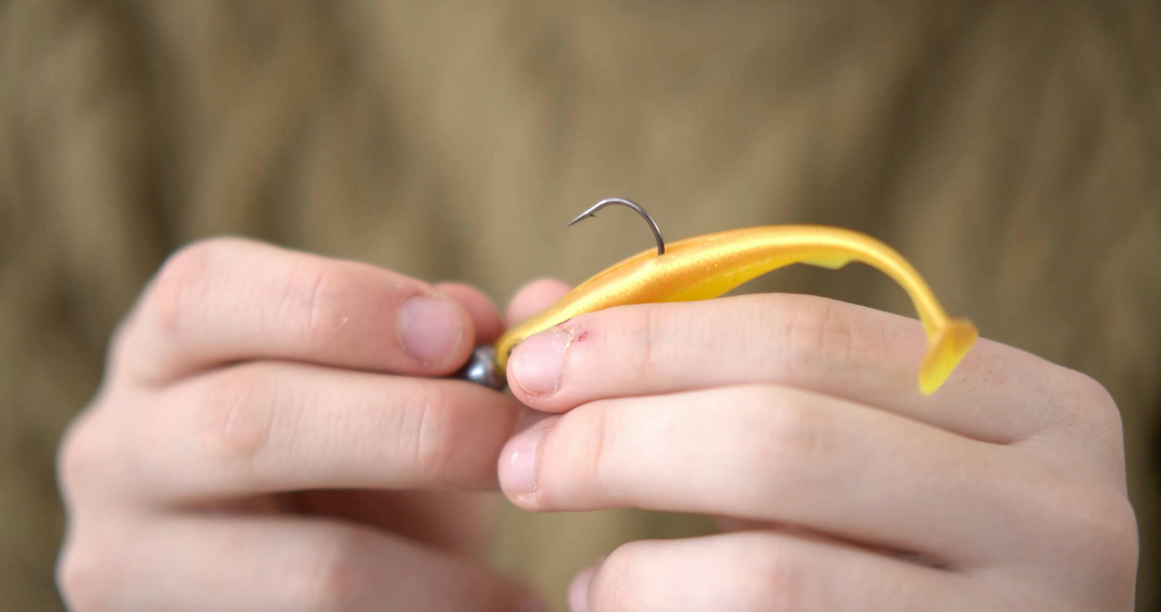 Fish Catching Videos, Download The BEST Free 4k Stock Video Footage ...