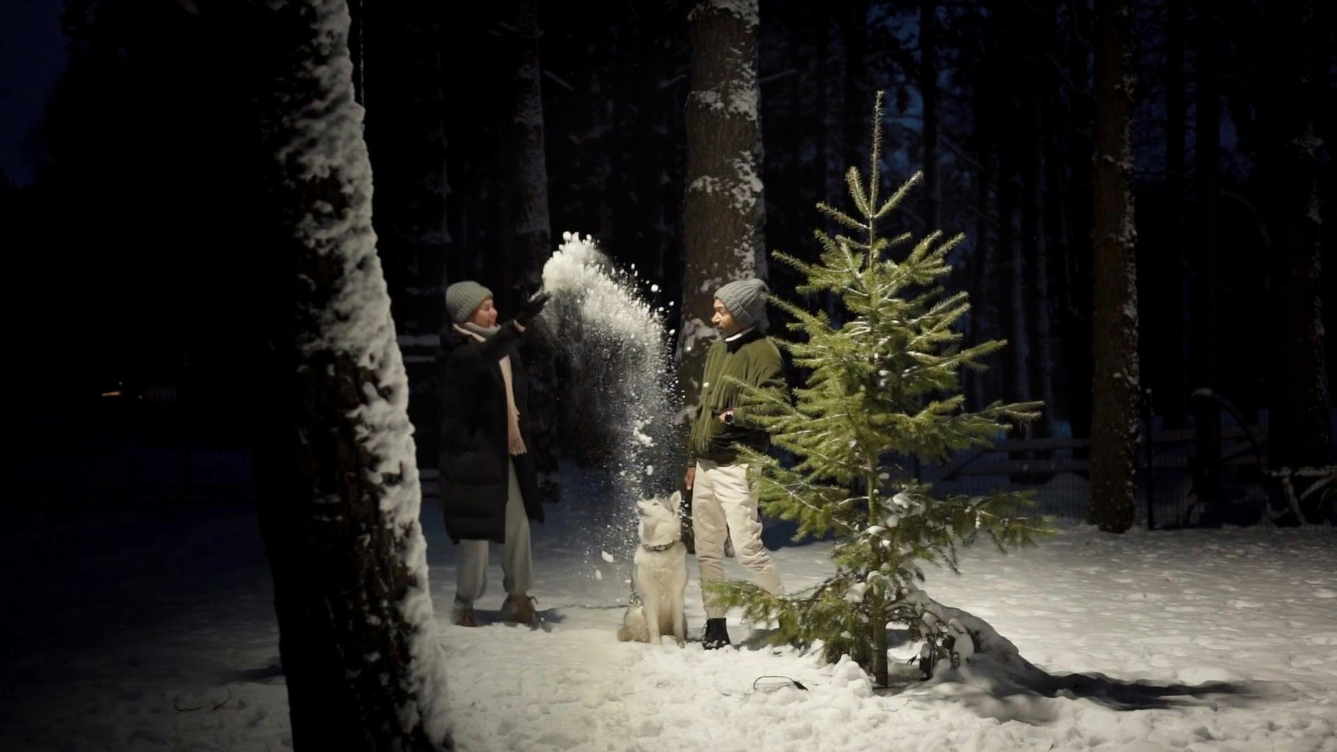 Winter Time Snowfall In America Home On Evening Videos, Download The ...