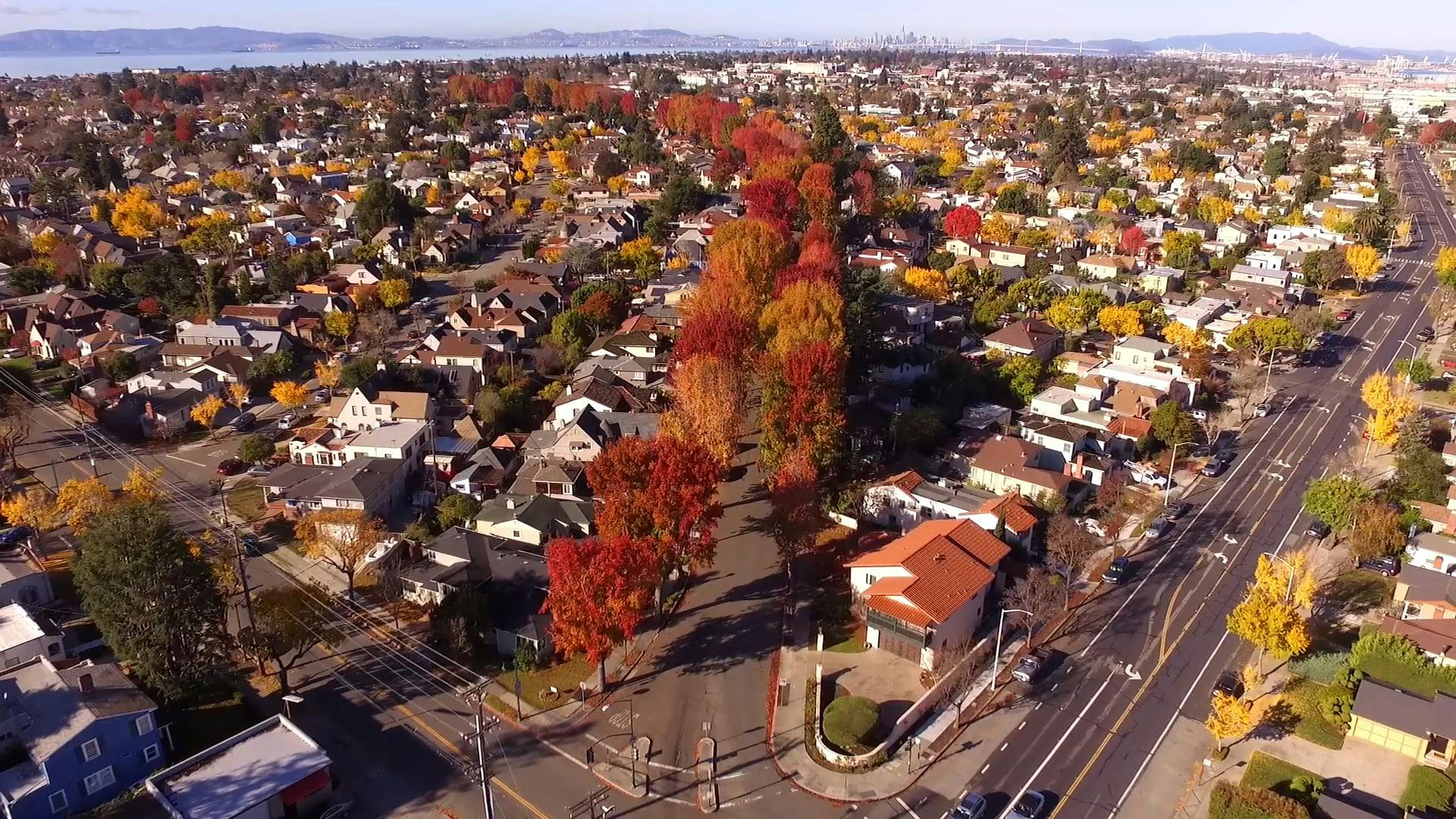 Aerial Shot of the Alameda Island · Free Stock Video