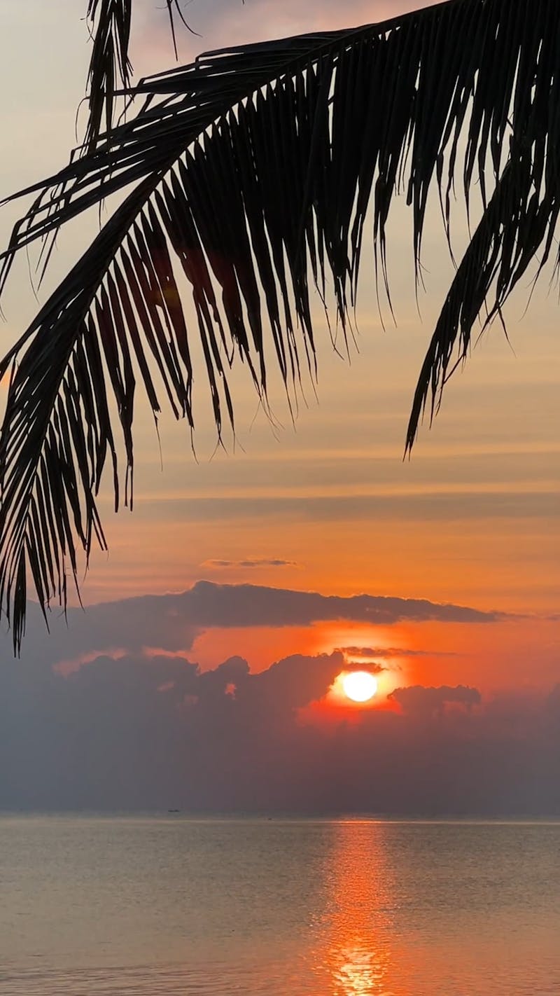 Sea View Videos, Download The BEST Free 4k Stock Video Footage & Sea ...