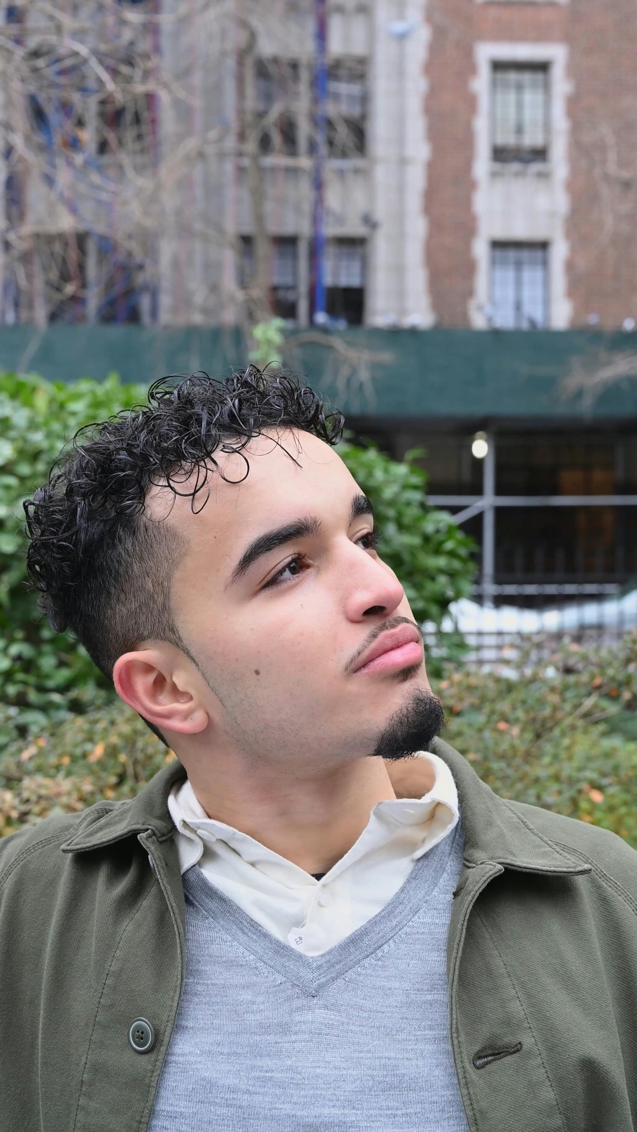 Realistic Tree Videos, Download The BEST Free 4k Stock Video Footage ...