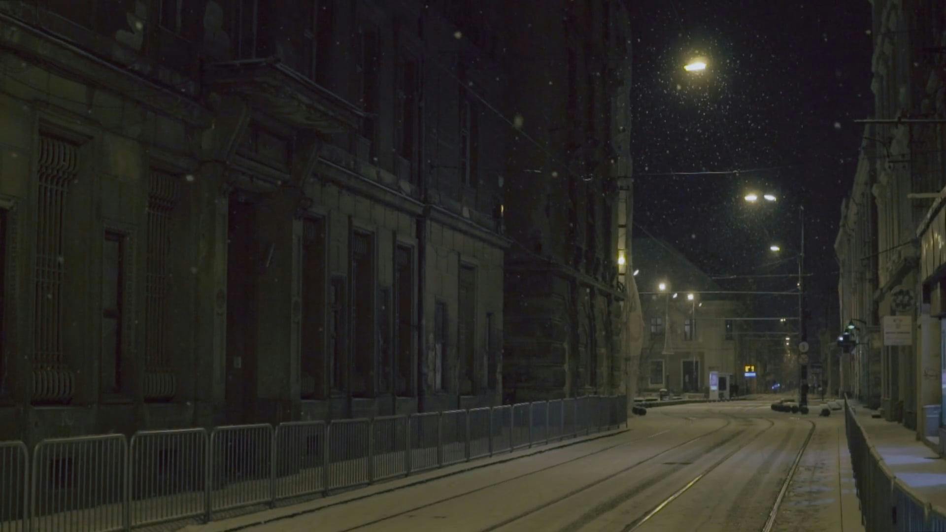 Blizzard of Snow in a Deserted Road · Free Stock Video