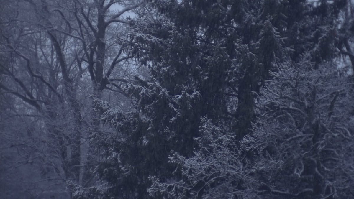 Bad Weather Videos, Download Free 4k Stock Video Footage & Bad Weather ...