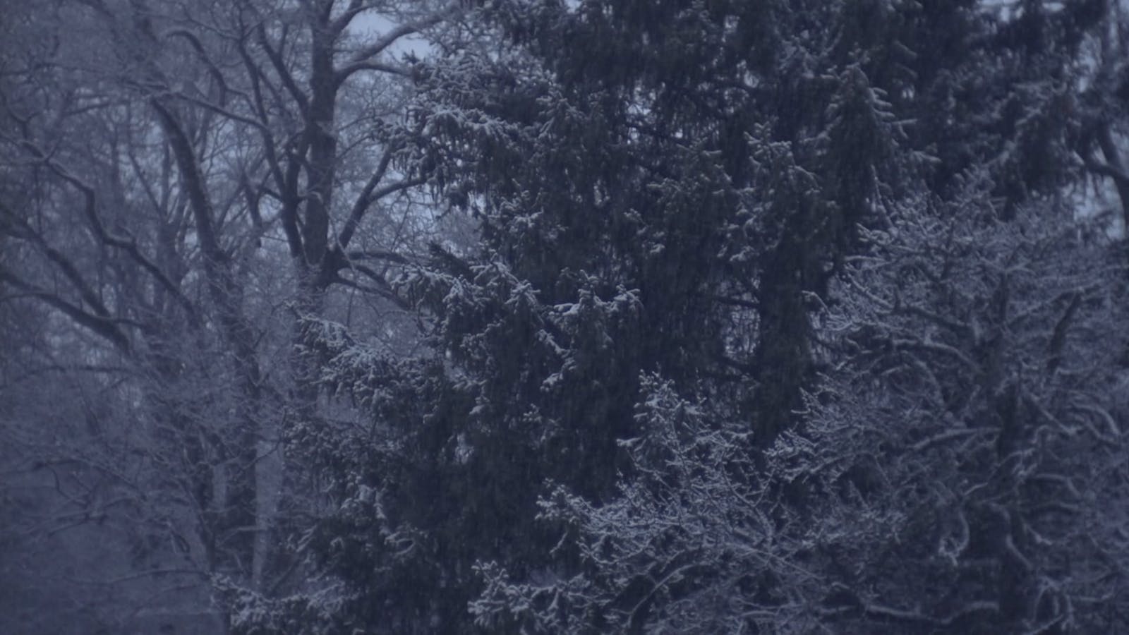 Bad Environment Videos, Download The BEST Free 4k Stock Video Footage ...