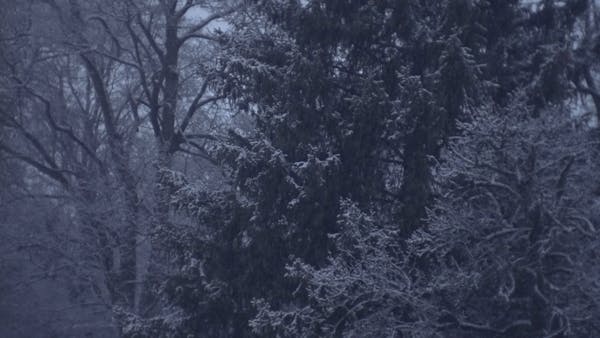 Bad Environment Videos, Download The BEST Free 4k Stock Video Footage ...