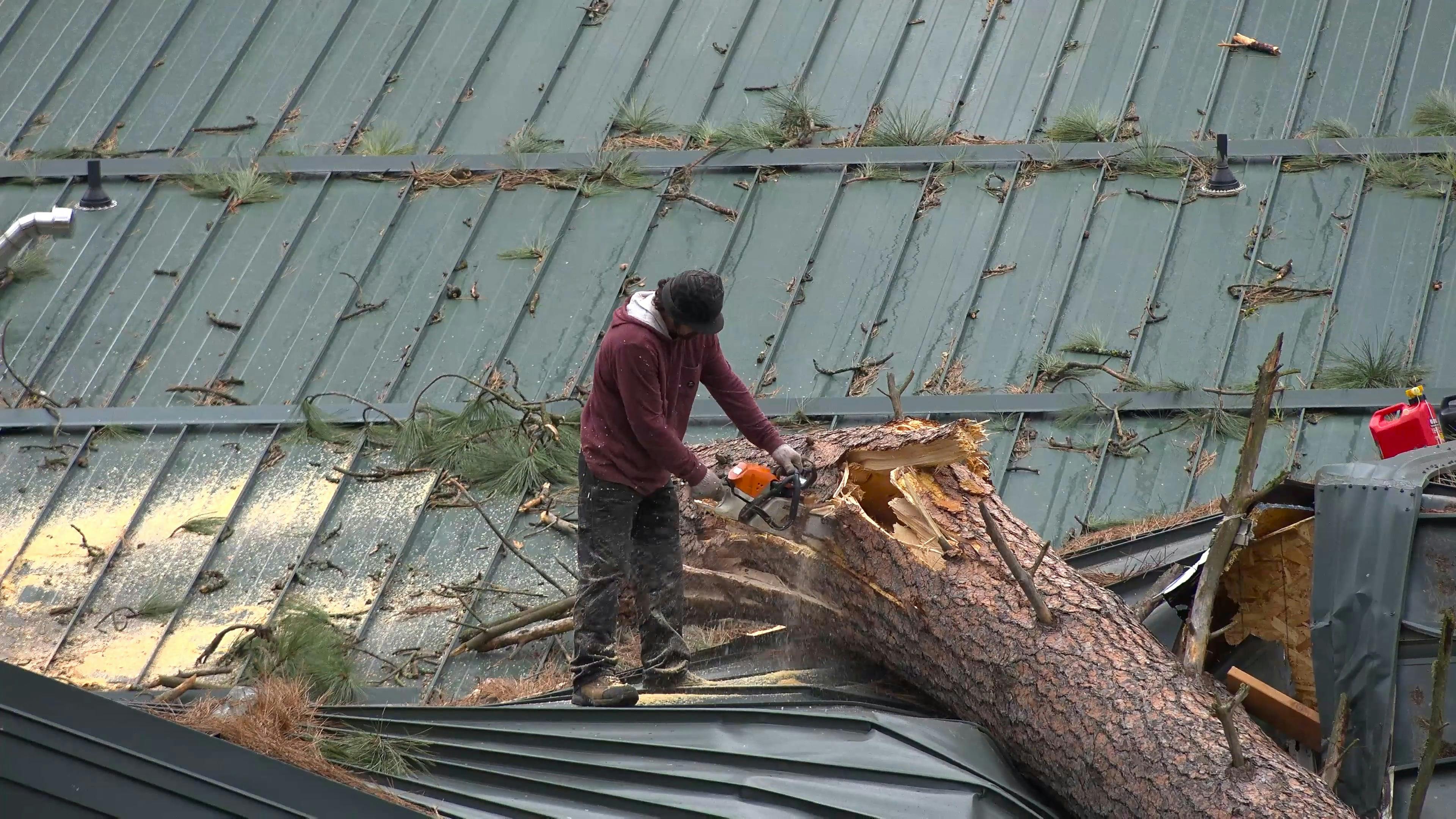 Man Cutting Log With Chainsaw Free Stock Video Footage, Royalty-Free 4K ...