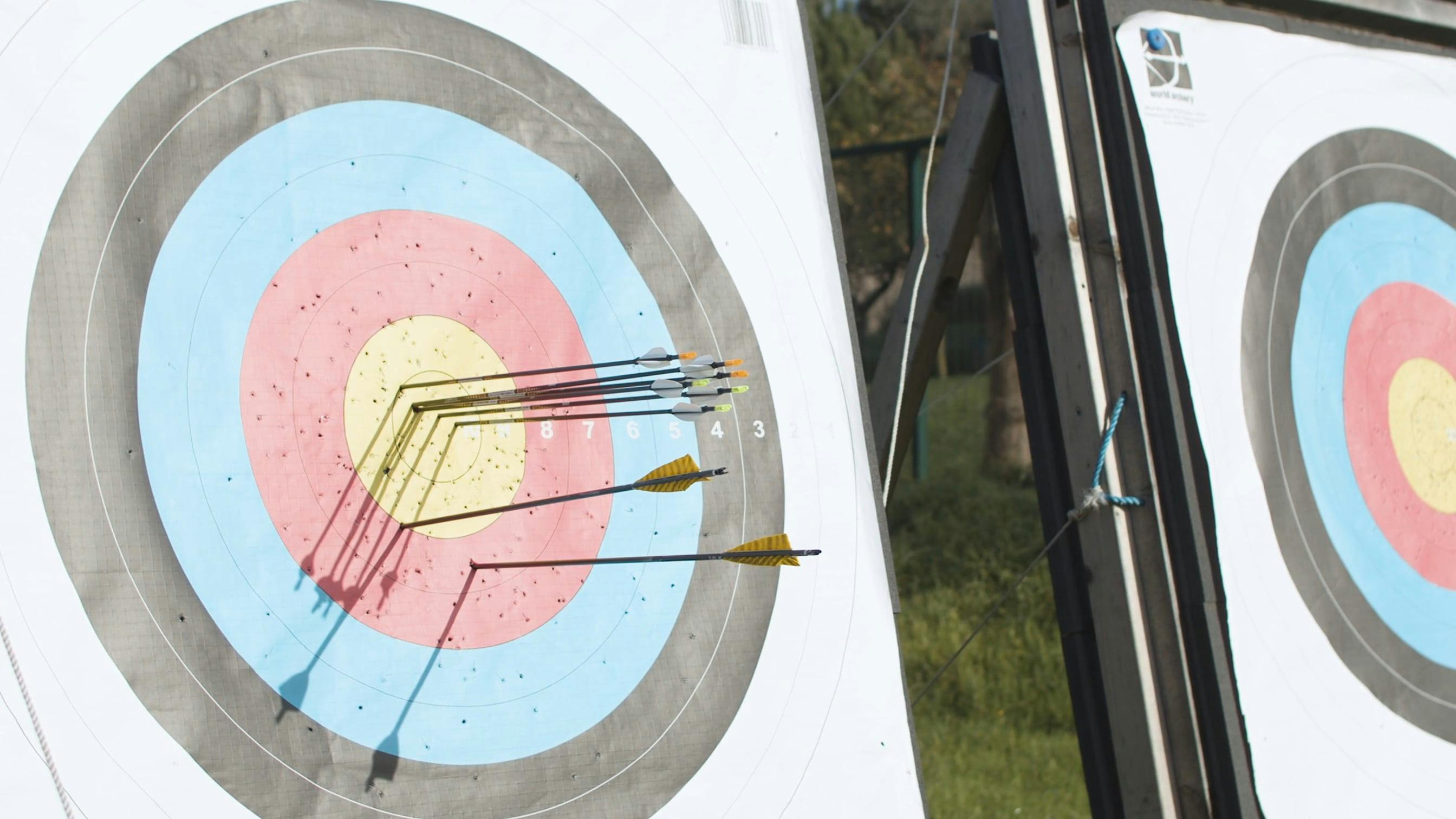 Man Pulling Arrow from the Target Practice Free Stock Video Footage ...