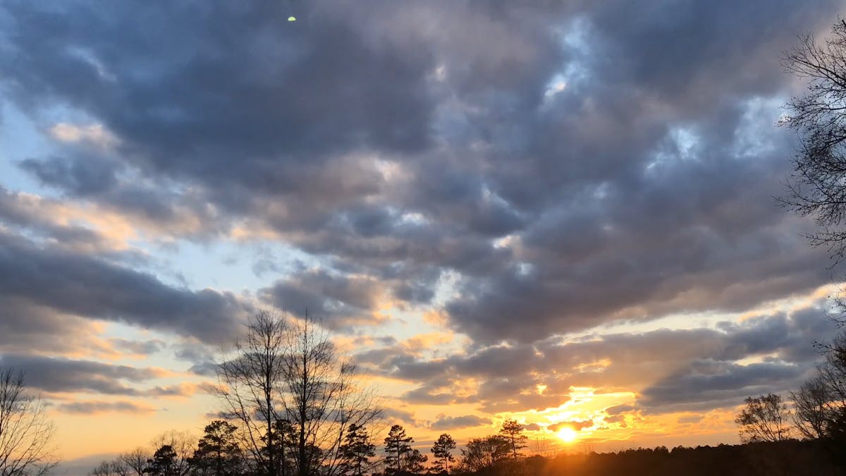 40,000+ Best Calming Nature Videos · 100% Free Download · Pexels Stock ...