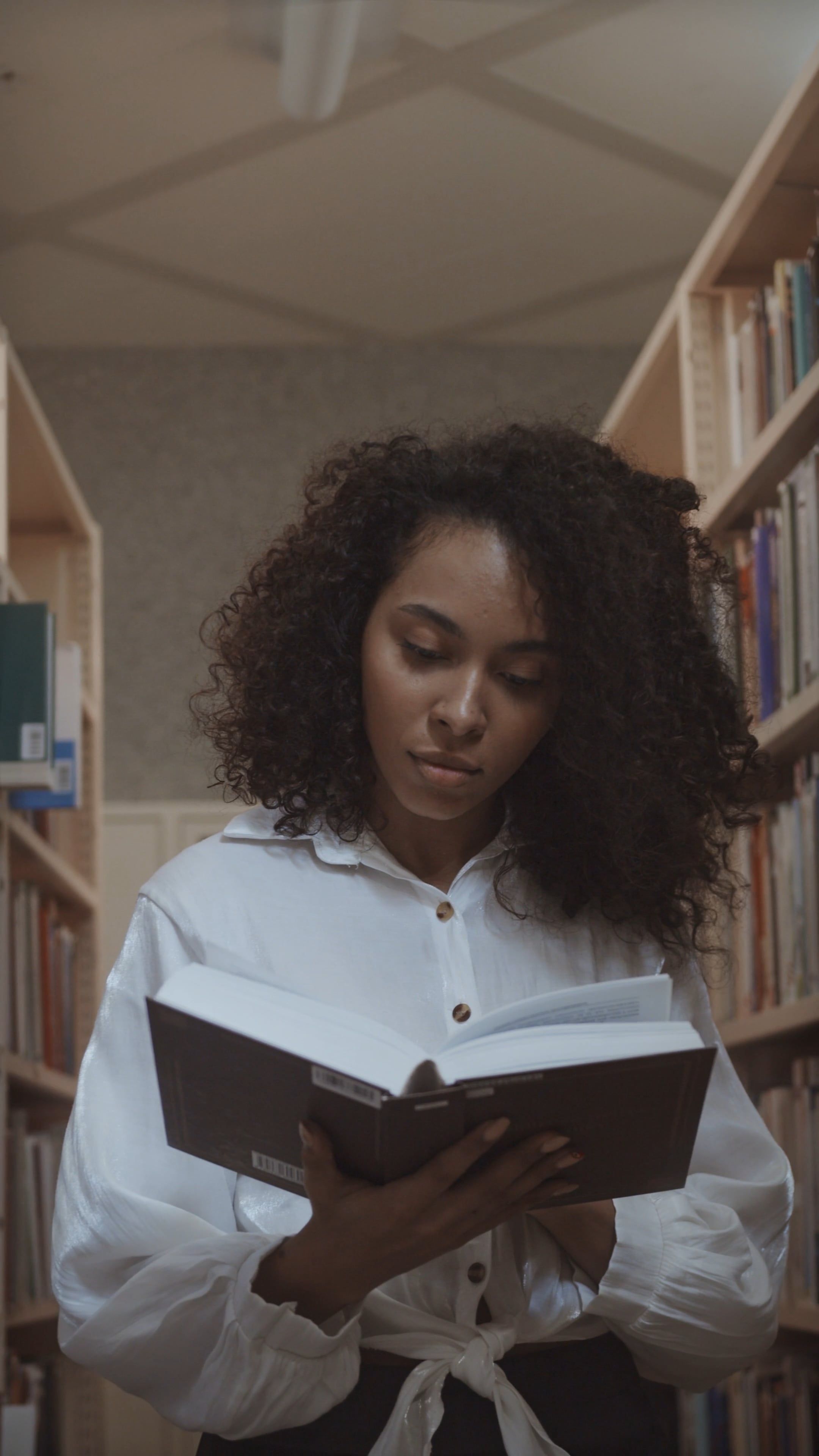 A Woman Reading Book · Free Stock Video