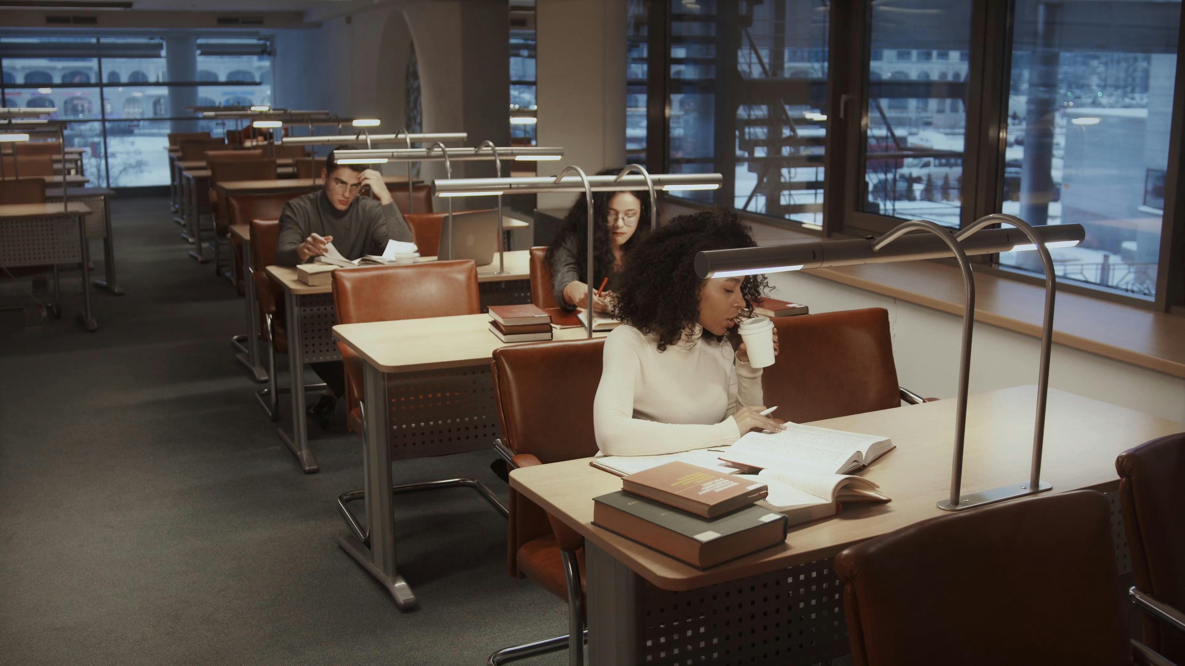 Guys Studying in a Library · Free Stock Video