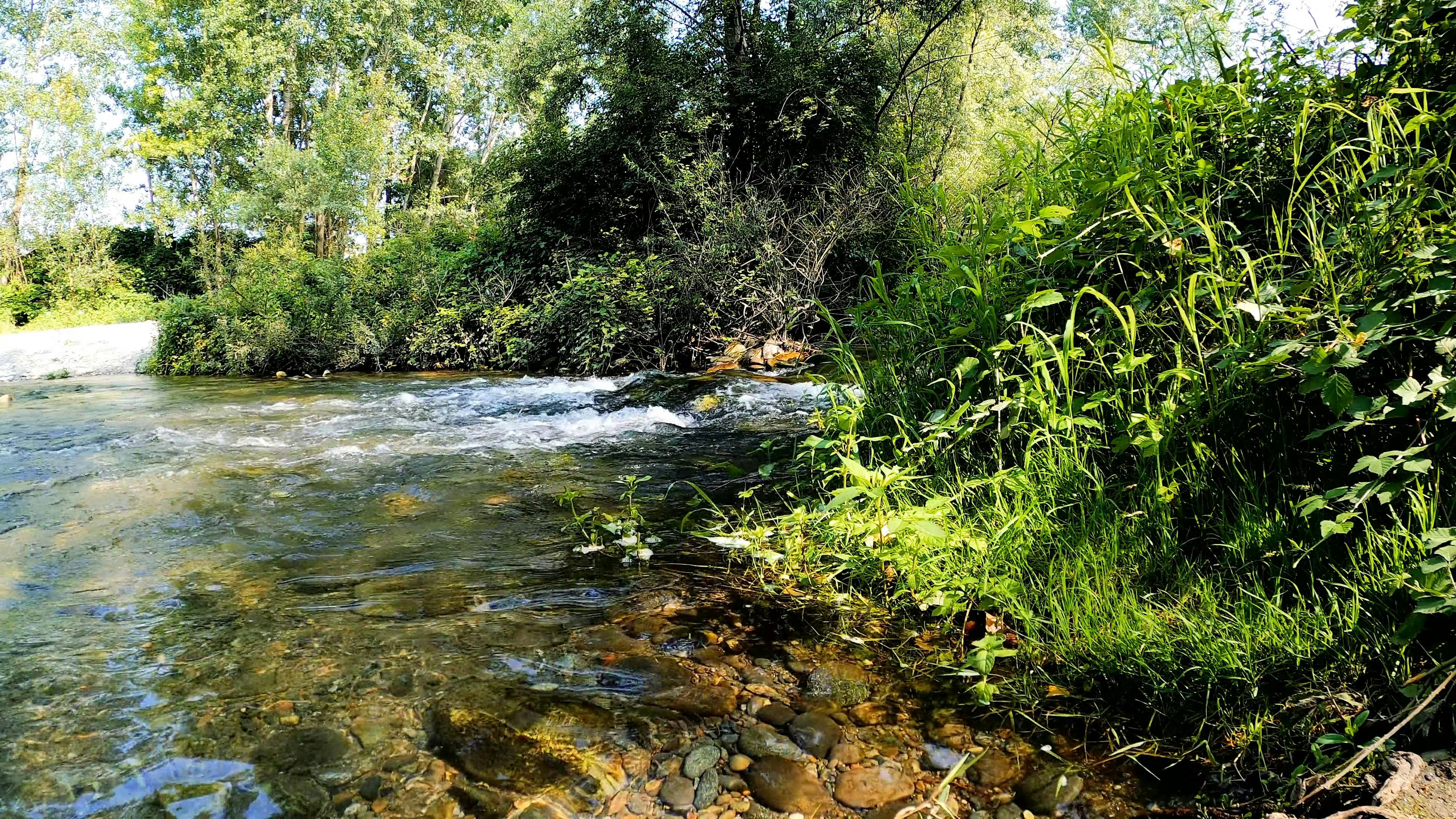 Water Flowing in a River Free Stock Video Footage, Royalty-Free 4K & HD ...