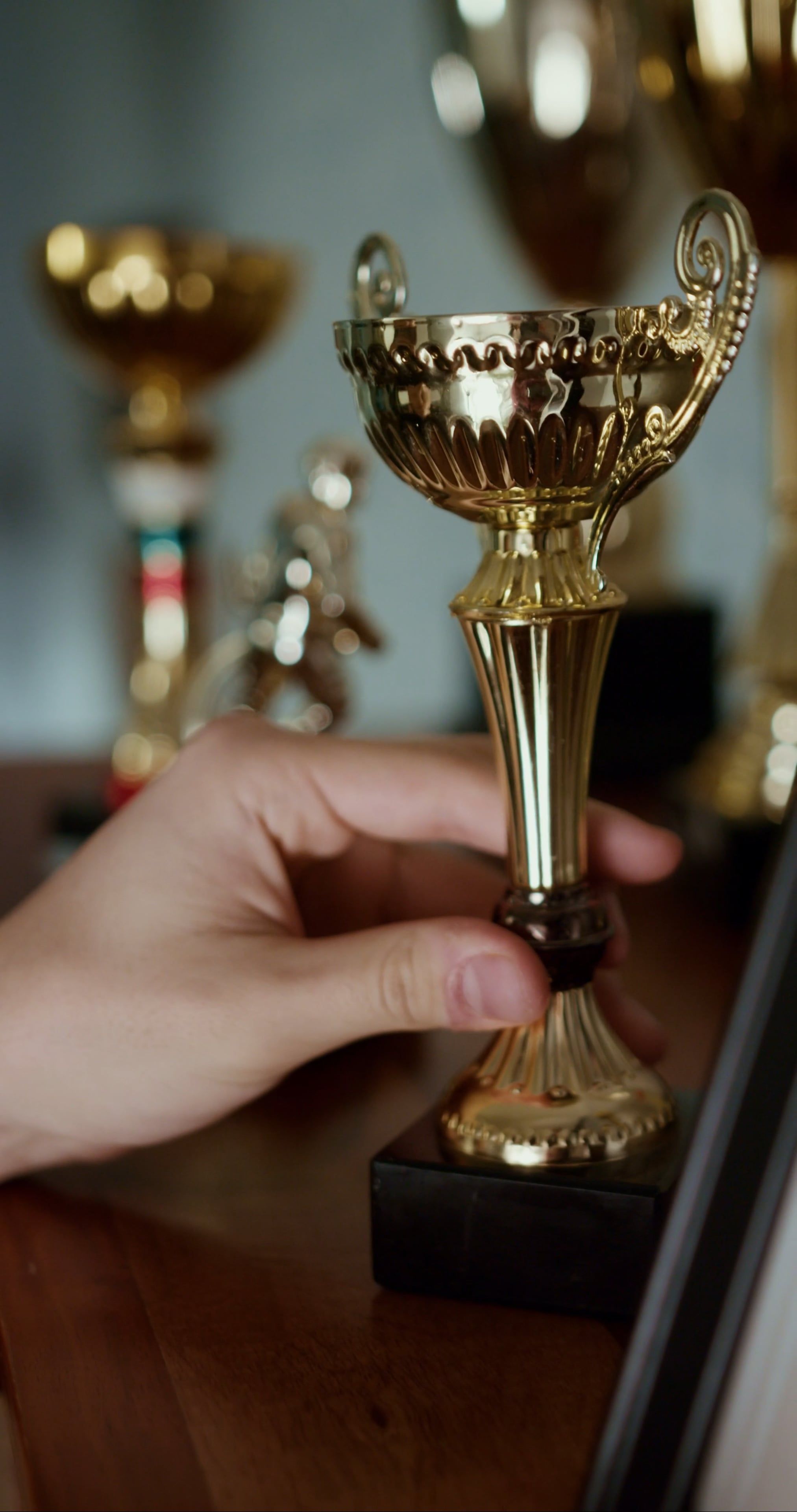 Man Looking at Trophies · Free Stock Video
